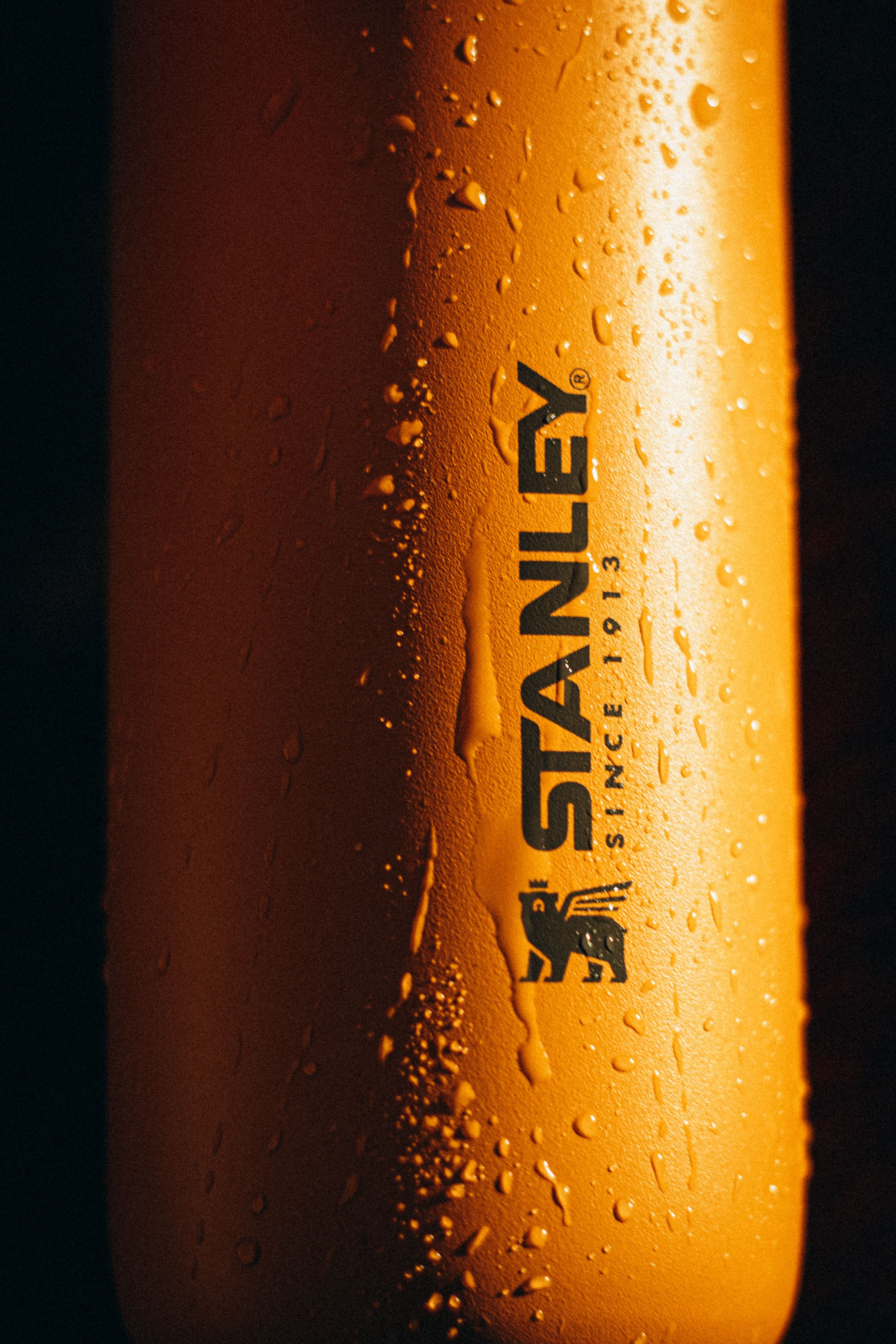 Wet Stanley Water Bottle · Free Stock Photo