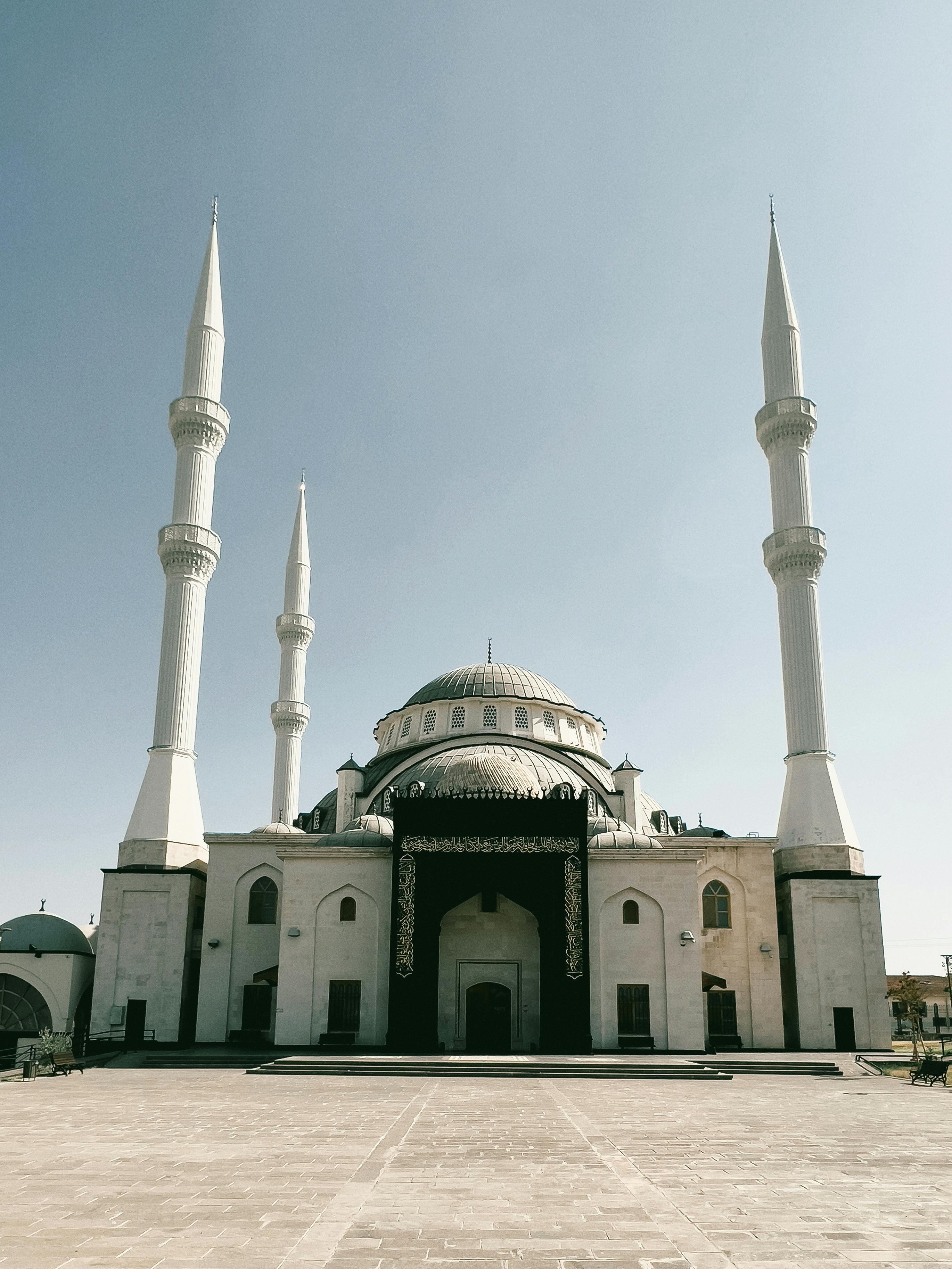 Packet Doors Photos, Download The BEST Free Packet Doors Stock Photos ...