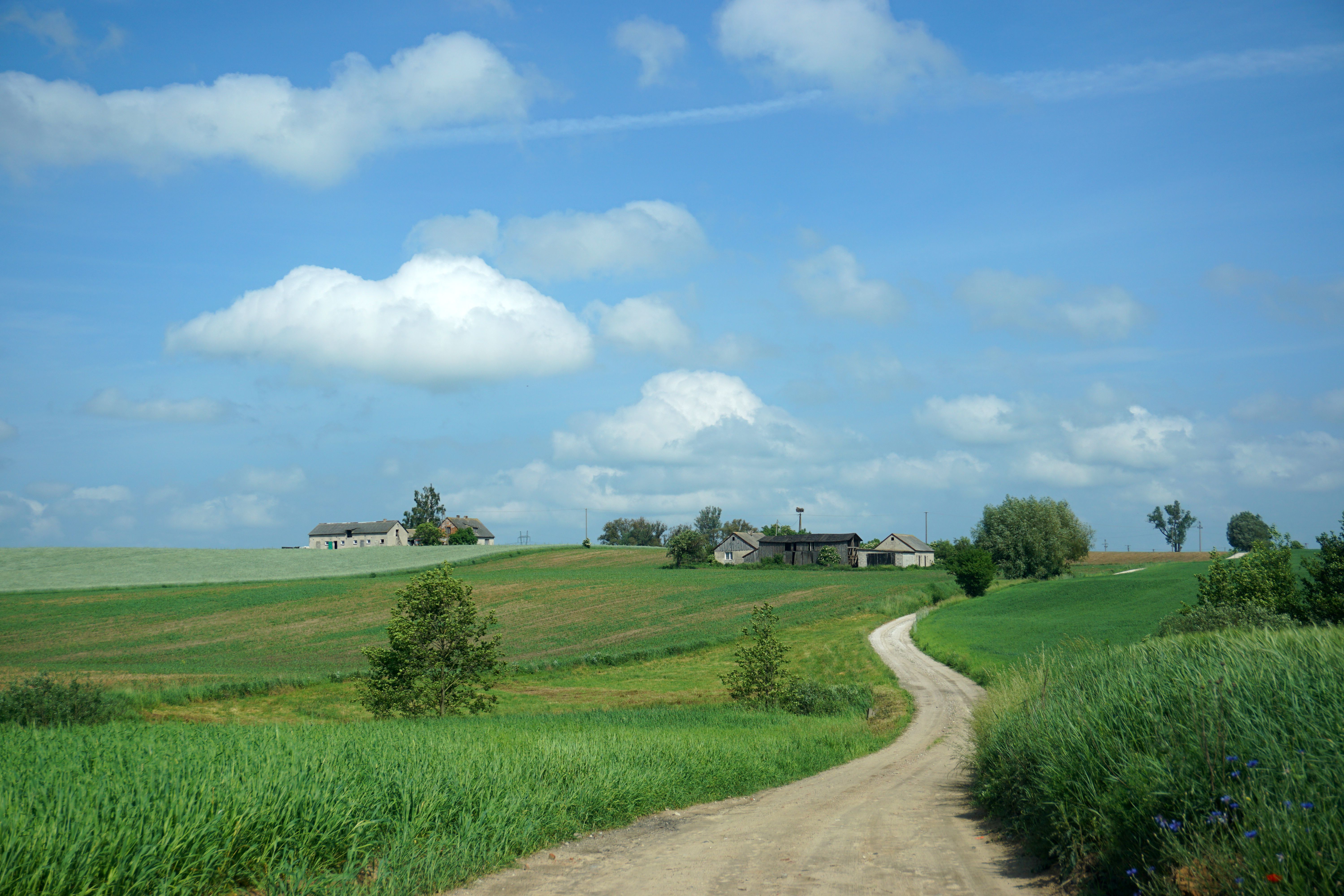 Twisted Road Photos, Download The BEST Free Twisted Road Stock Photos ...