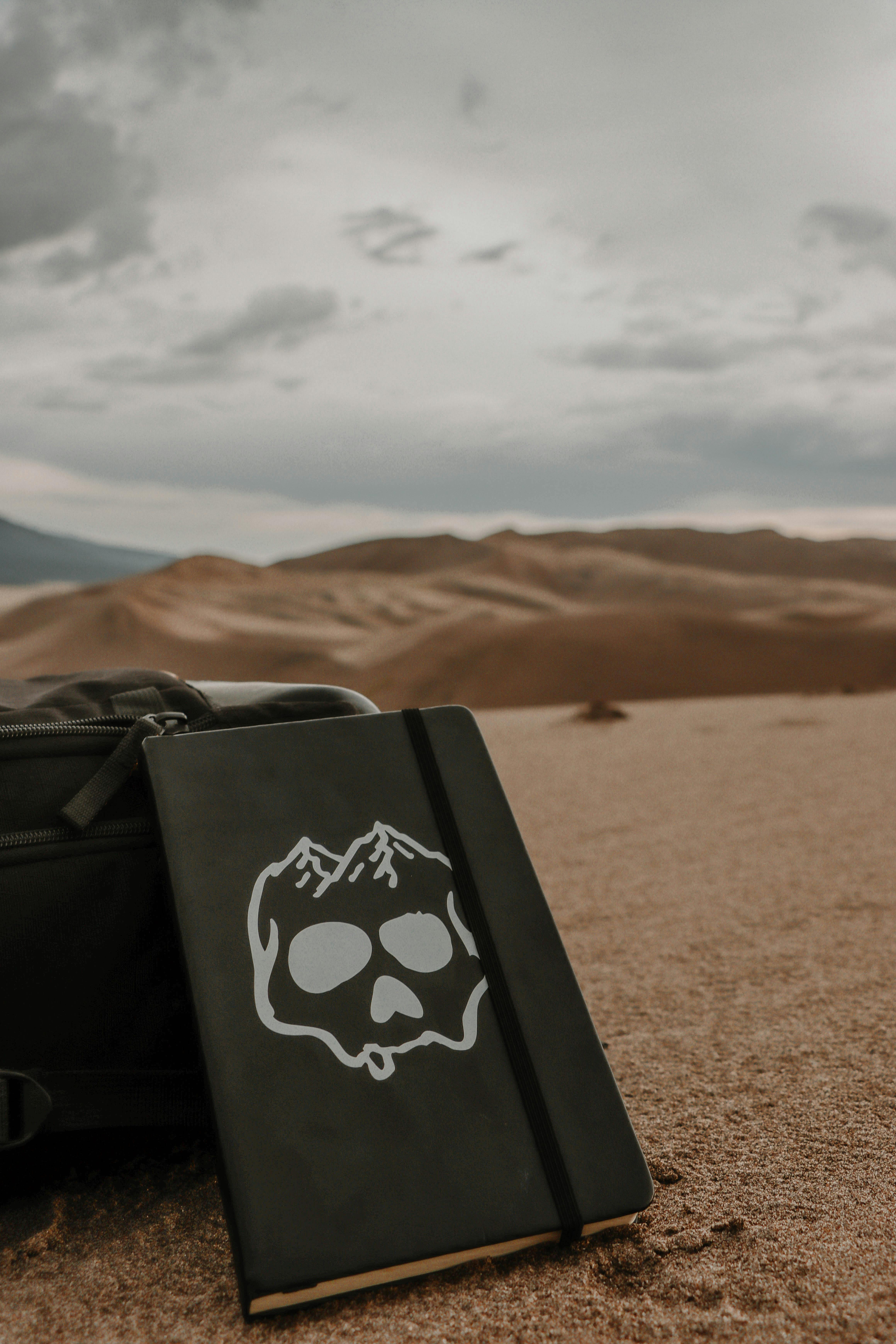 Skull Pfp Photos, Download The BEST Free Skull Pfp Stock Photos & HD Images