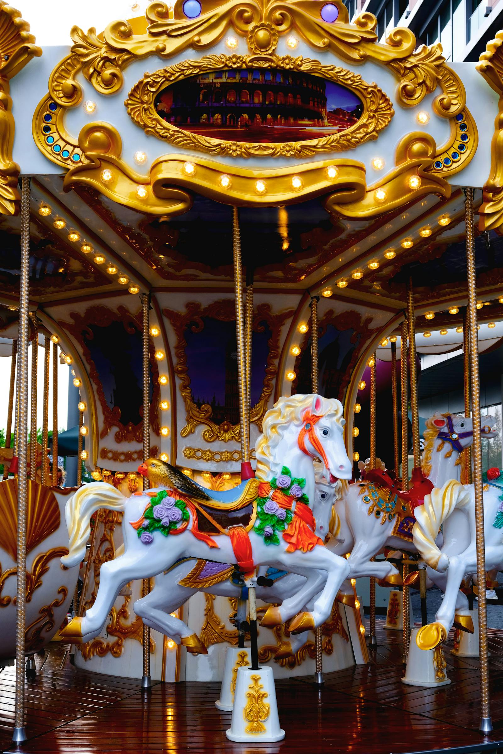 Carousel Horse Photos, Download The BEST Free Carousel Horse Stock ...