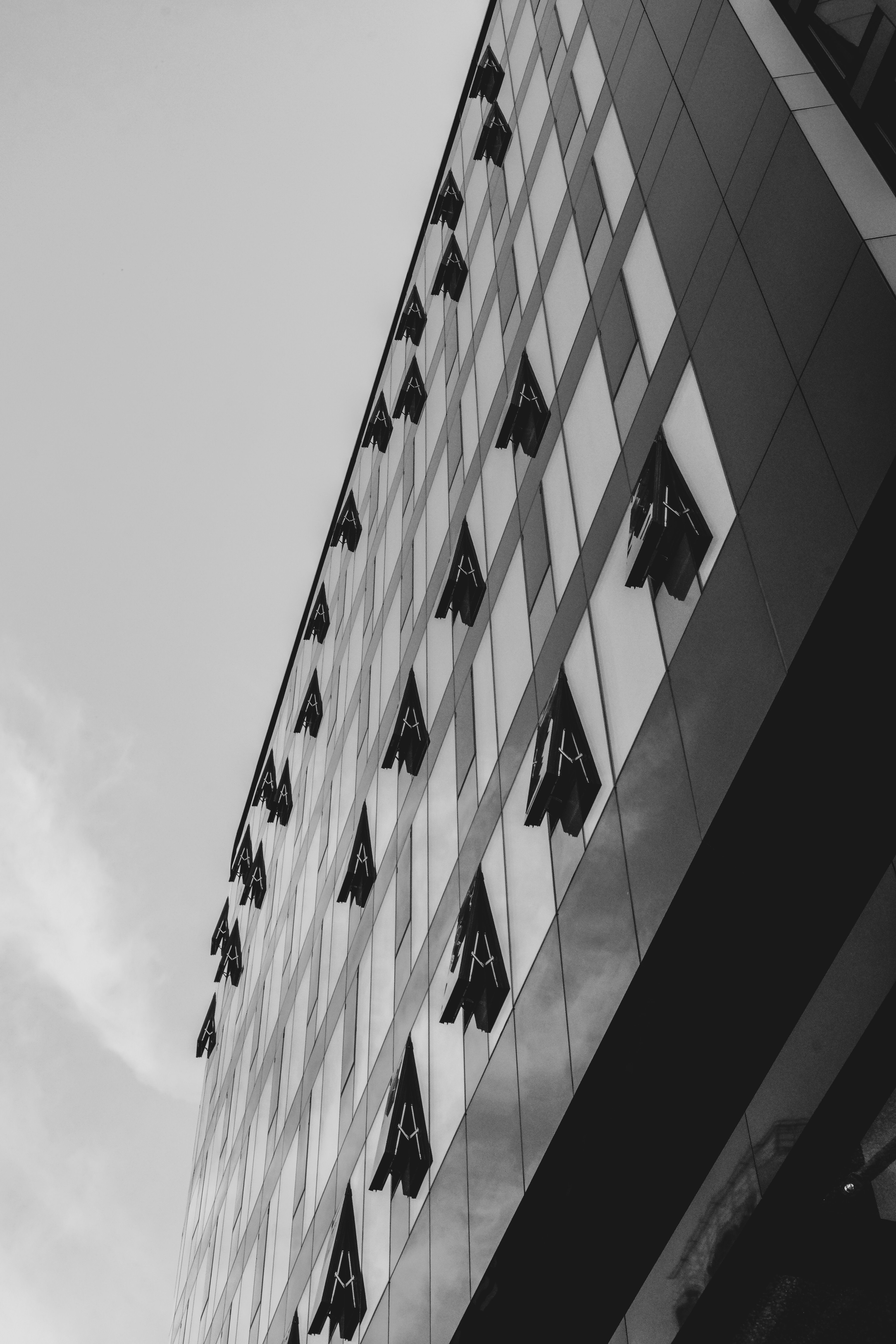Trees Shadows on Building Wall · Free Stock Photo