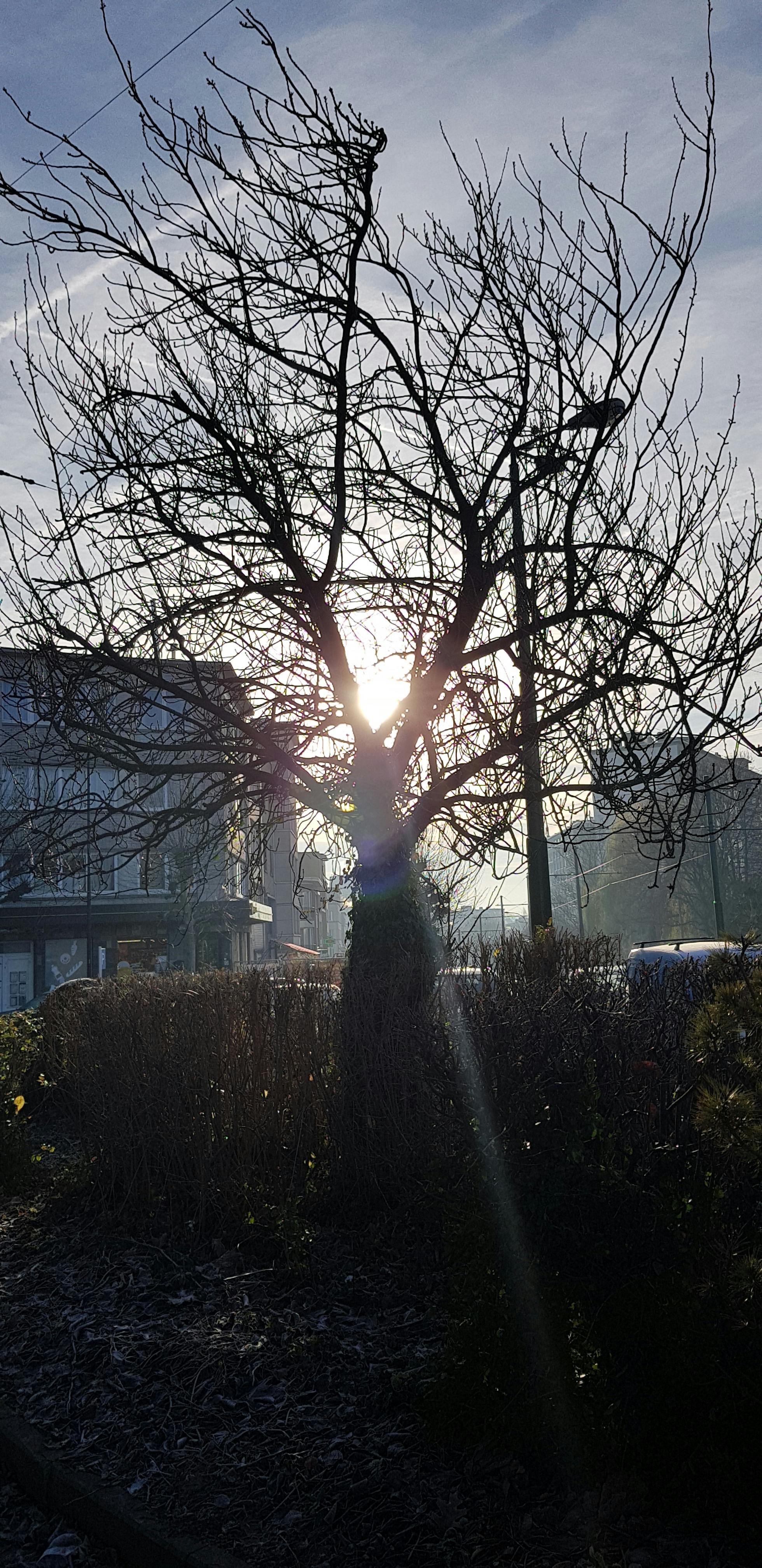 Nabil Ben Amor - Fotografie