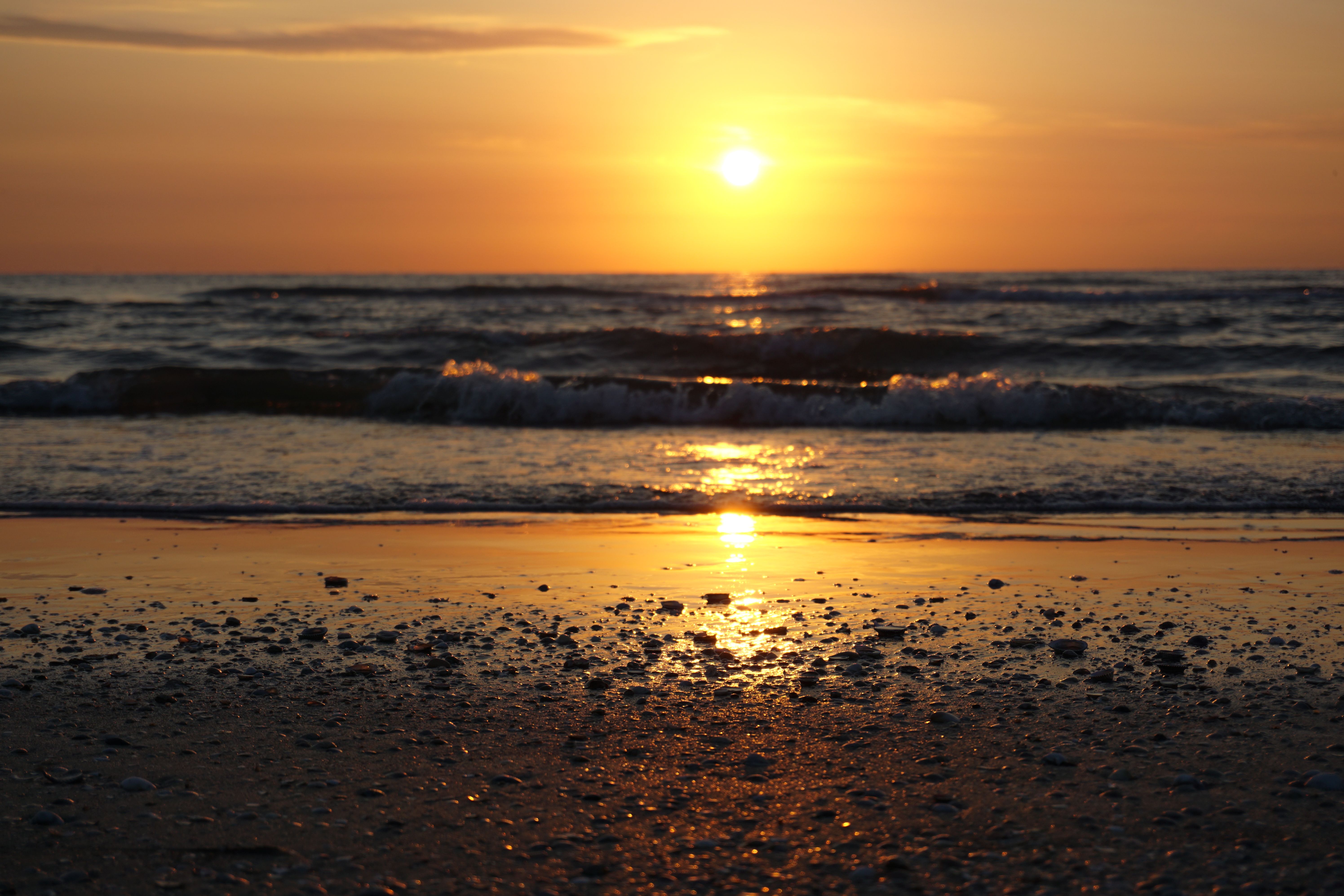 View of the Sunset over the Sea · Free Stock Photo