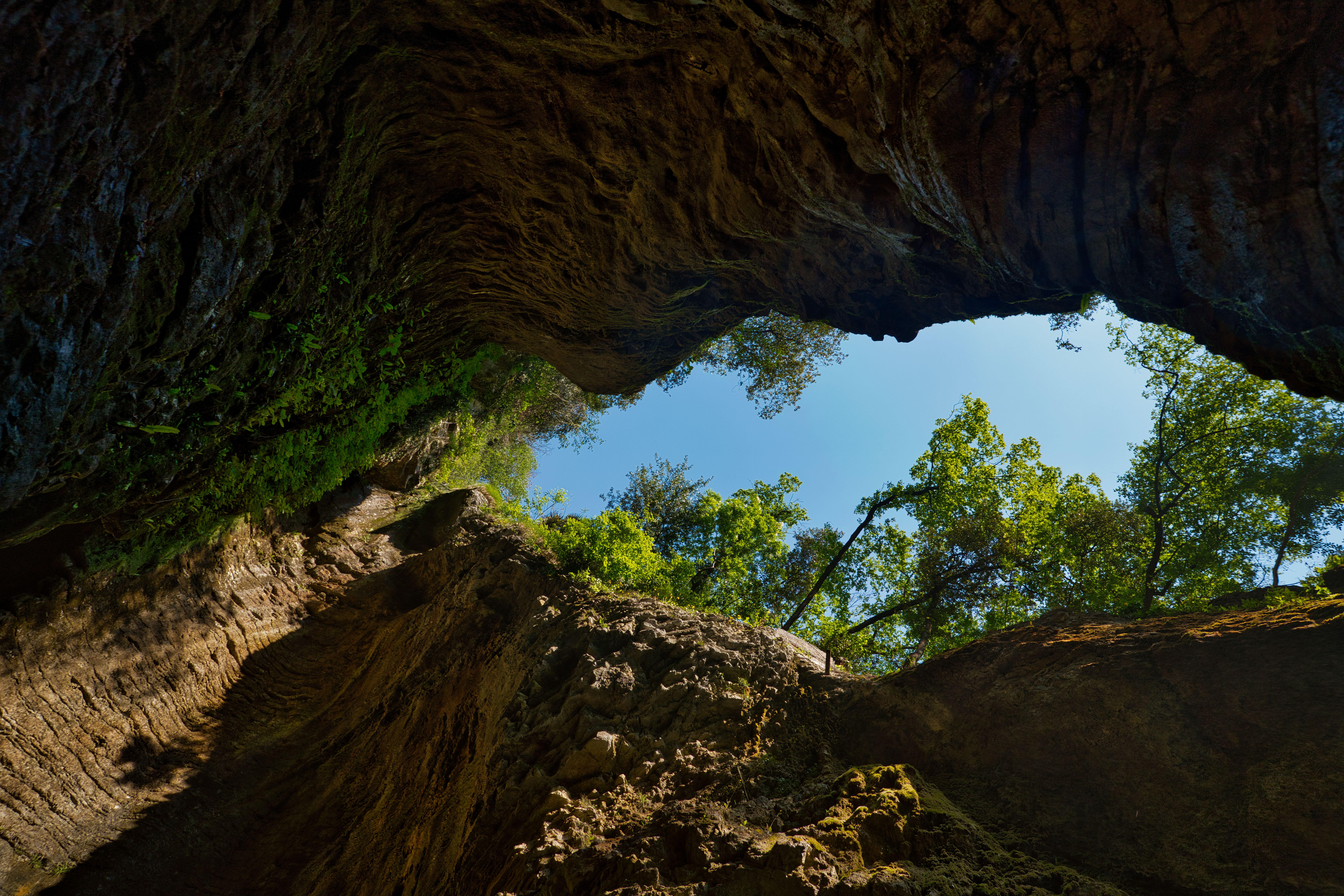 Forest Cave Photos, Download The BEST Free Forest Cave Stock Photos ...