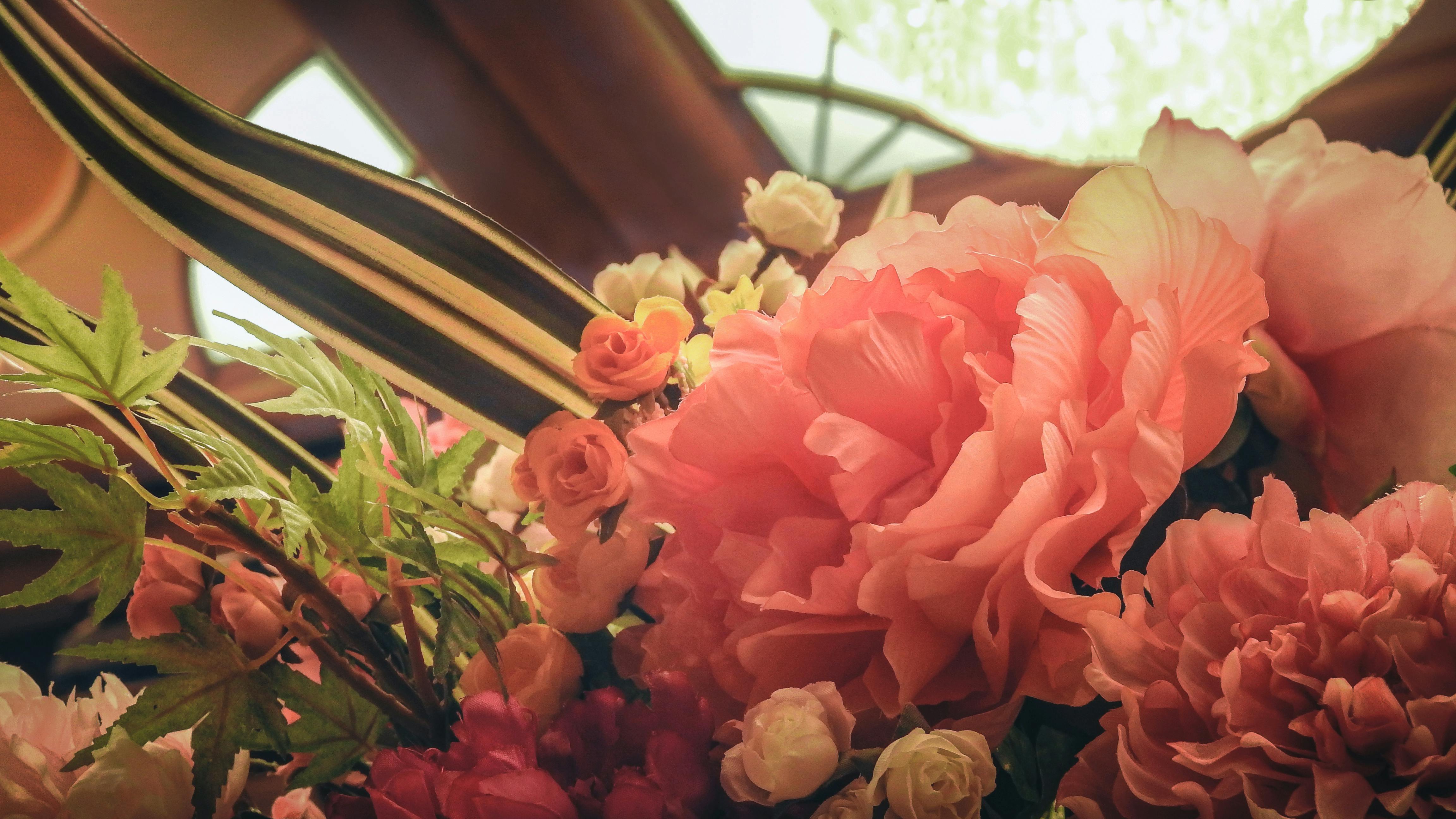 Anthony Gideon · Photography