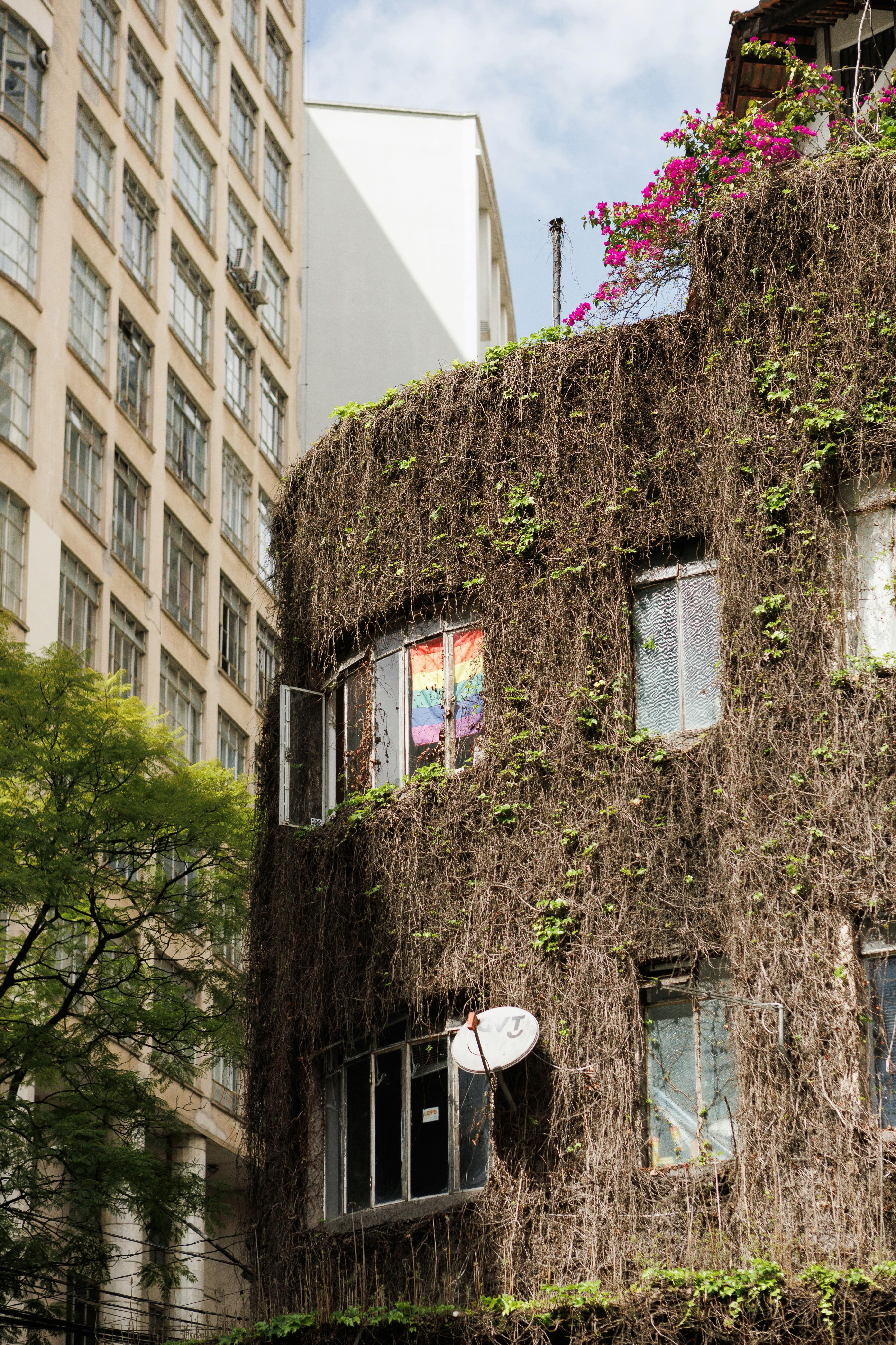 Facade of a Building overgrown with Plants · Free Stock Photo
