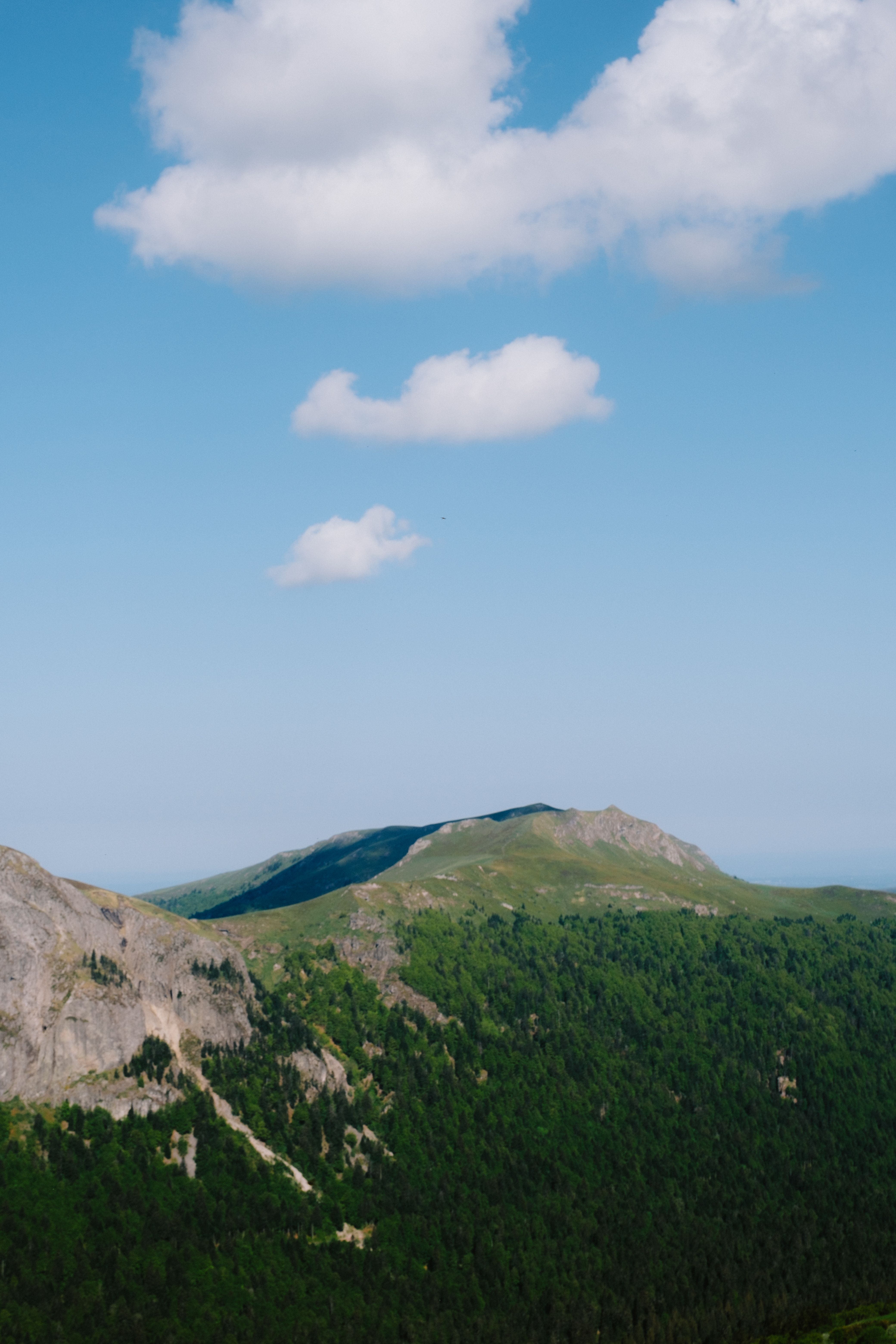 Rocky Mountain Ridge and Forested Slope below · Free Stock Photo