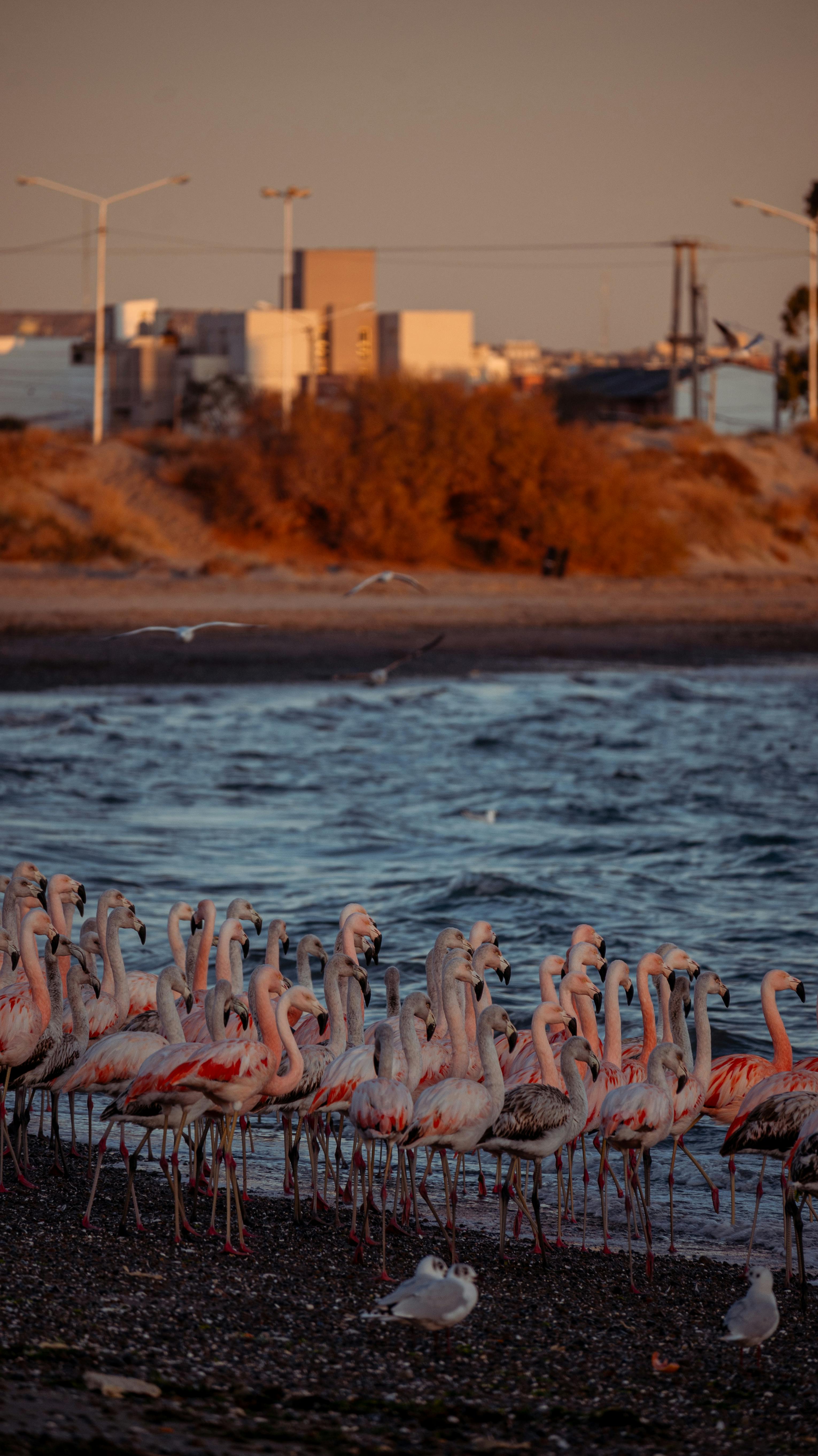 Foto de stock gratuita sobre @al aire libre, agua, andalusia spain ...