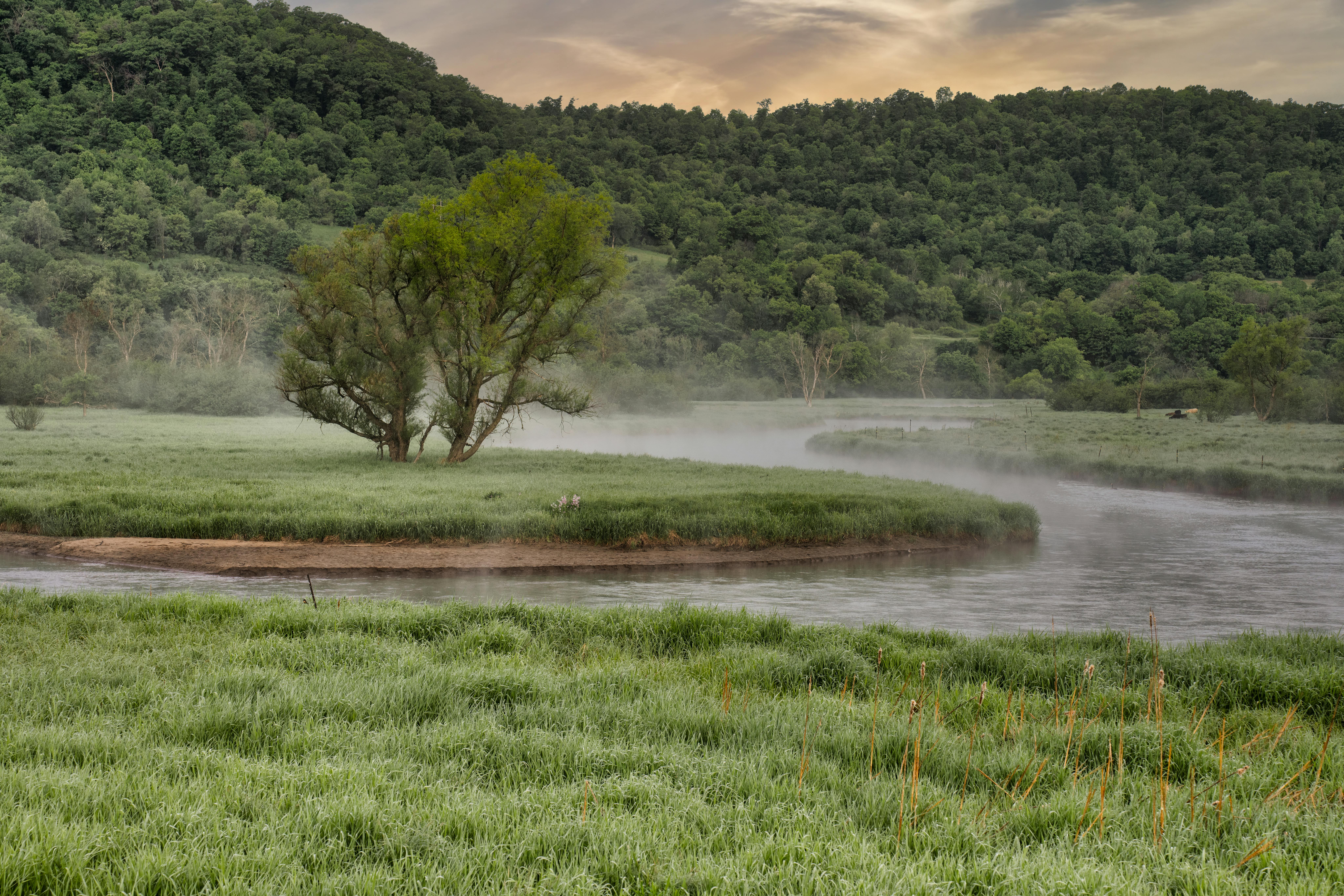 Mist over River Bend under Forested Hill · Free Stock Photo