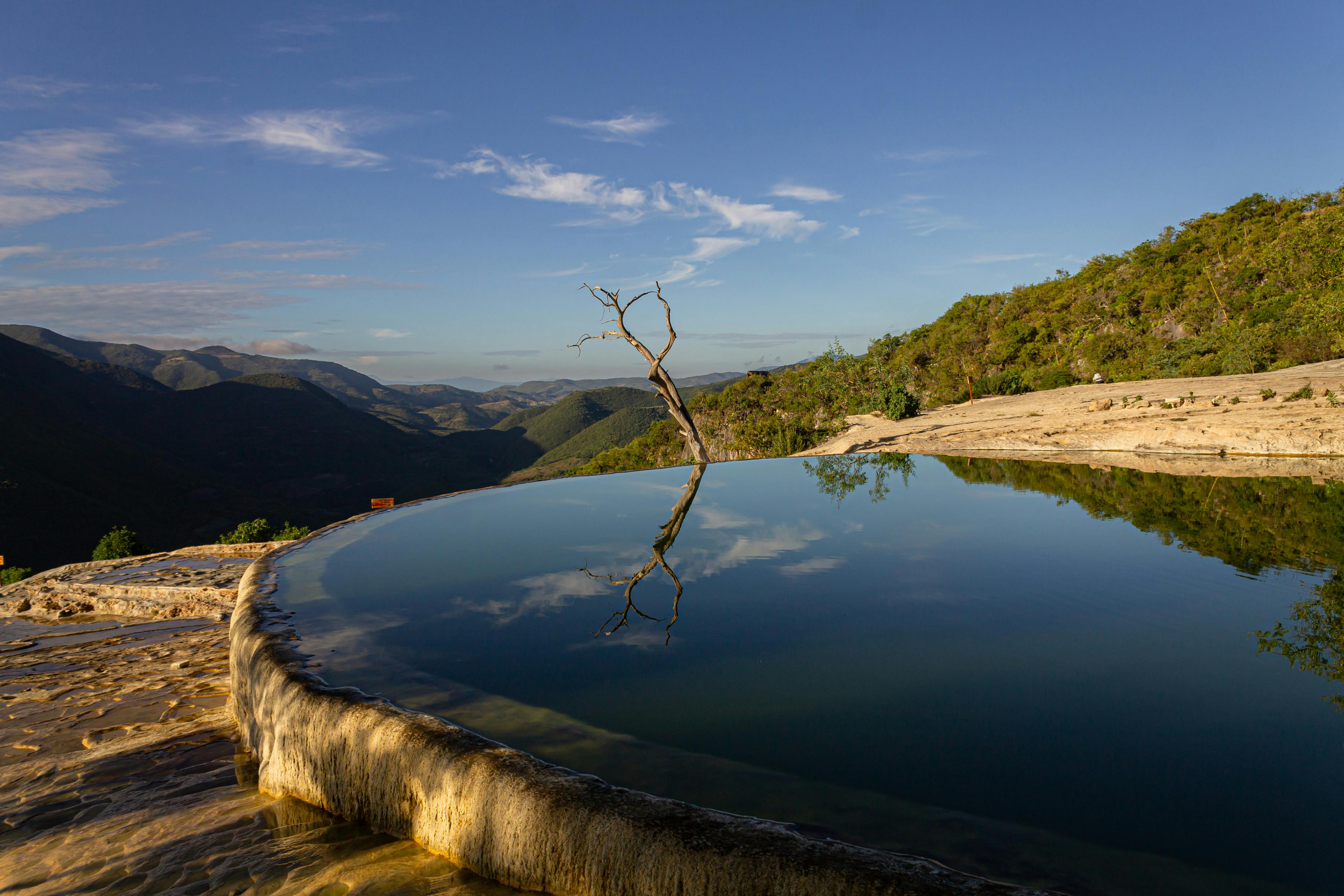 Single, Withered Tree on Lake over Valley · Free Stock Photo