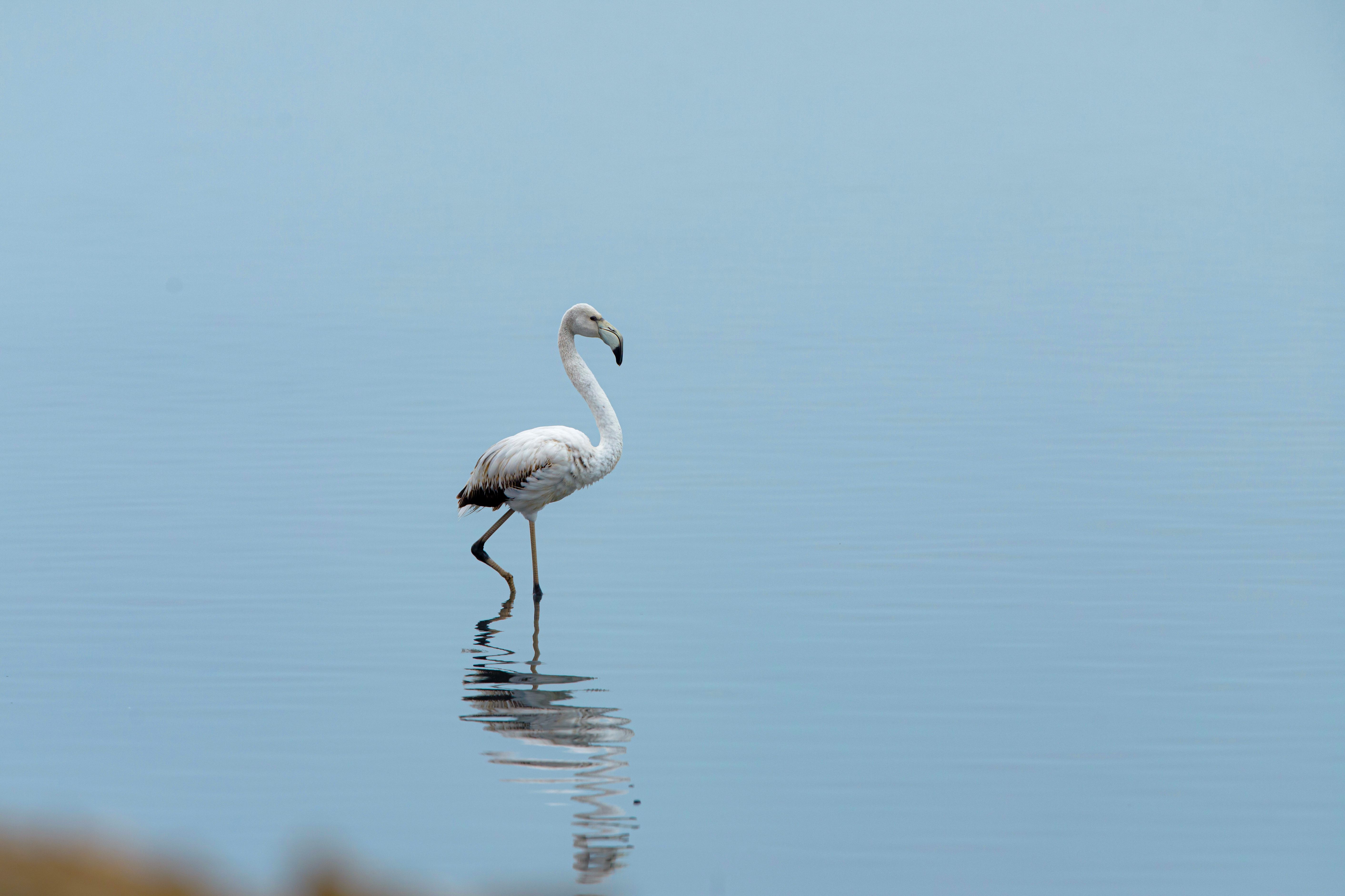 Water Nature Photos, Download The BEST Free Water Nature Stock Photos ...