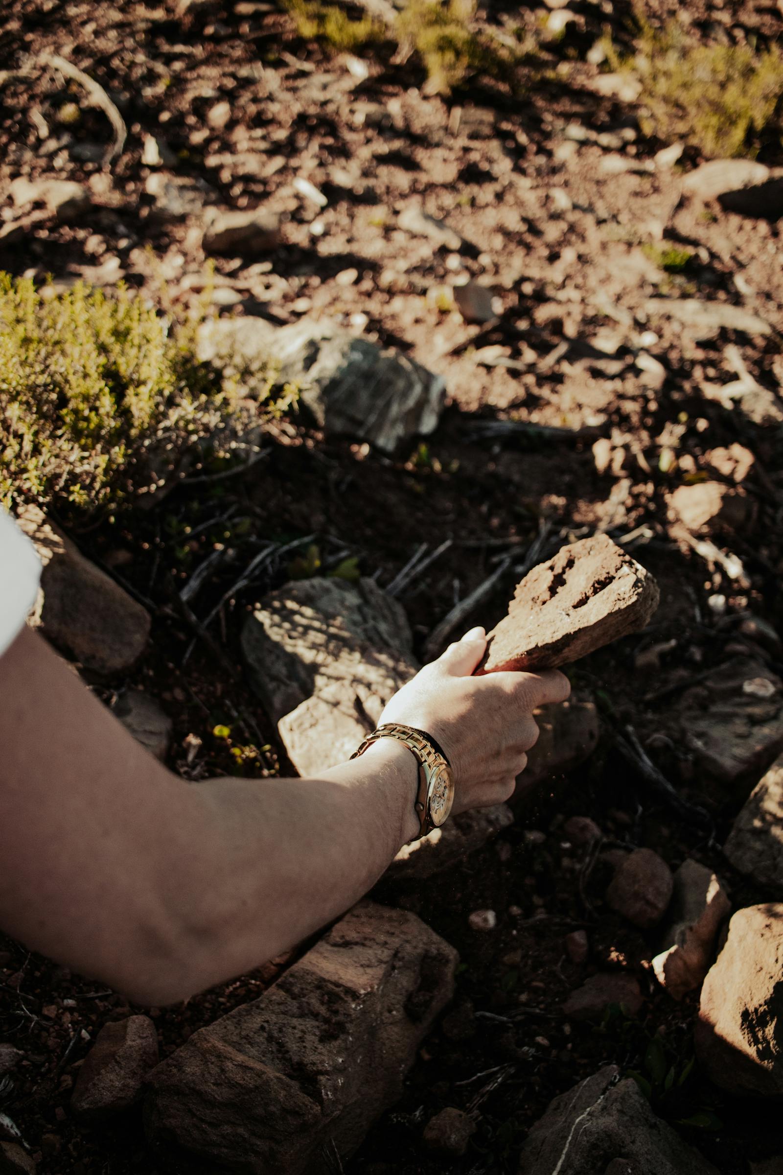 Stone Hand Photos, Download The BEST Free Stone Hand Stock Photos & HD ...