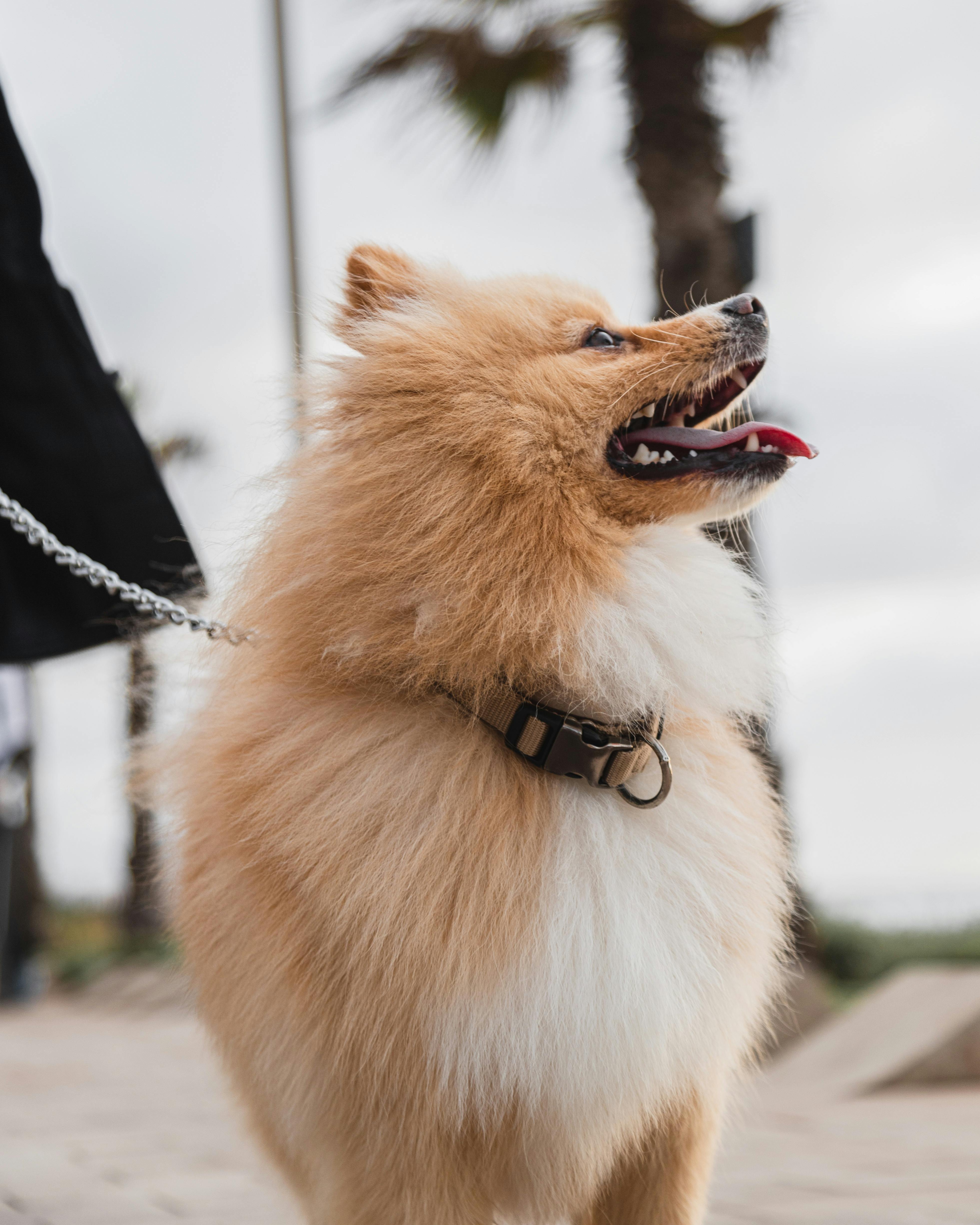 Cute Beez Photos, Download The BEST Free Cute Beez Stock Photos & HD Images