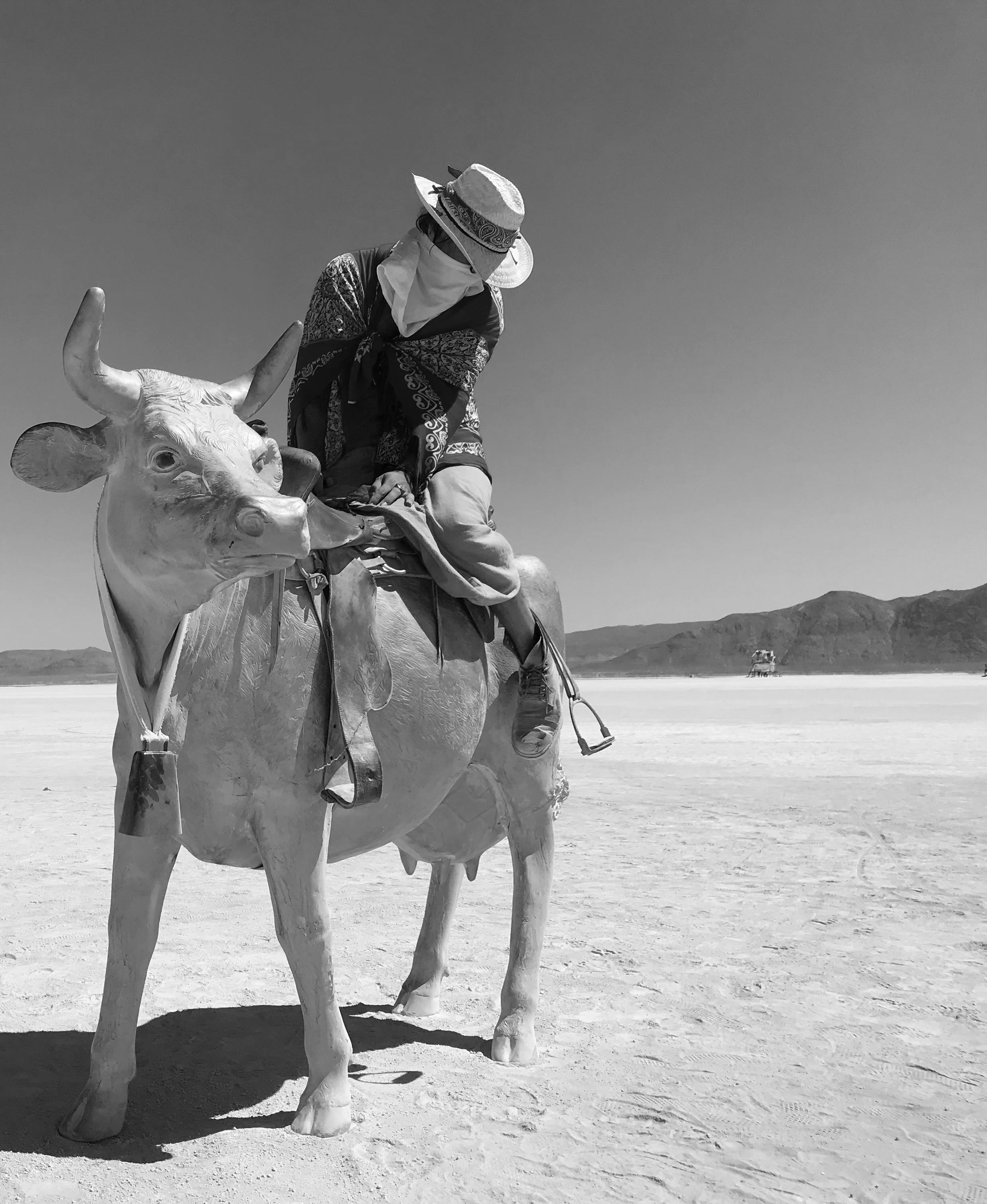 Man Riding on a Cow in Black and White · Free Stock Photo