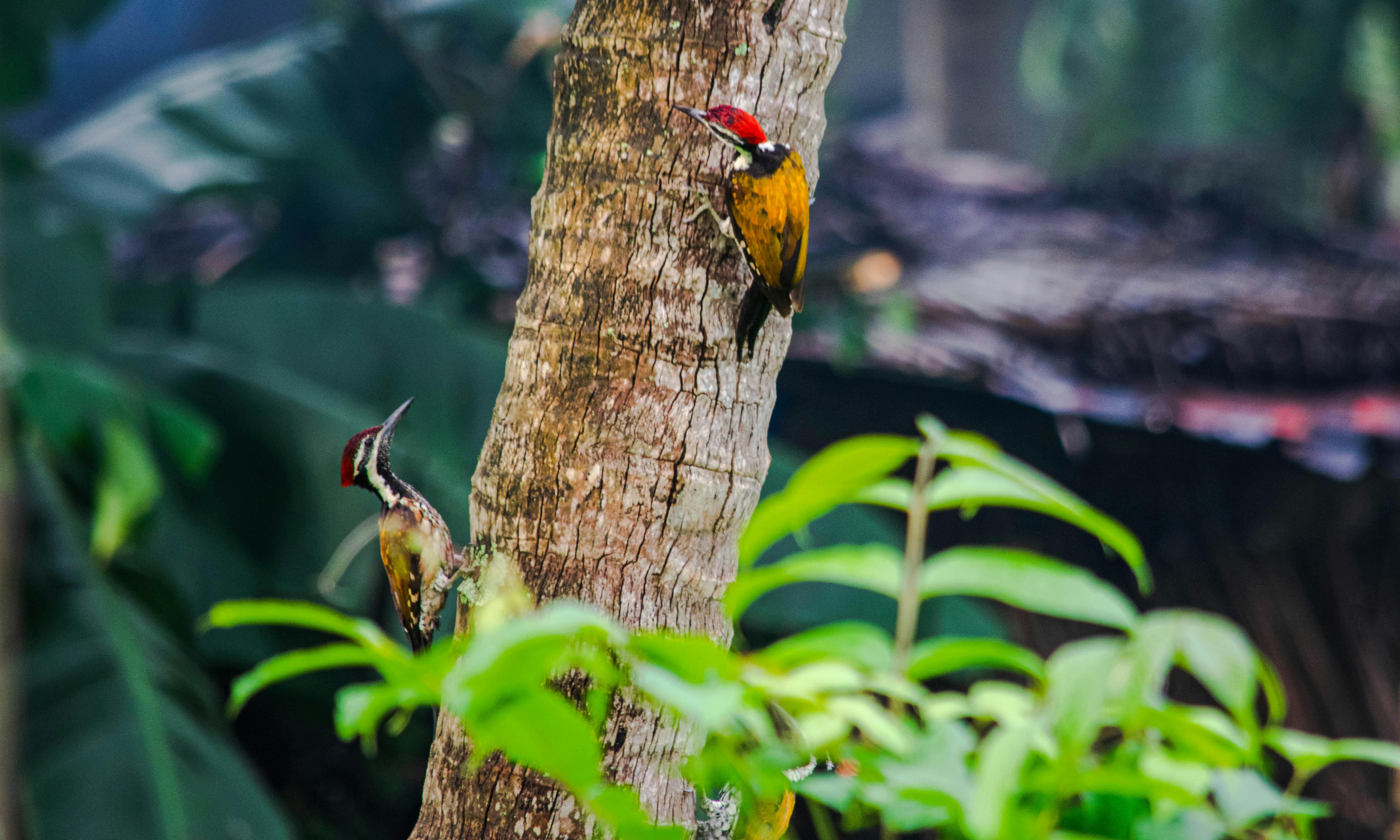 Joyston Judah - Photography