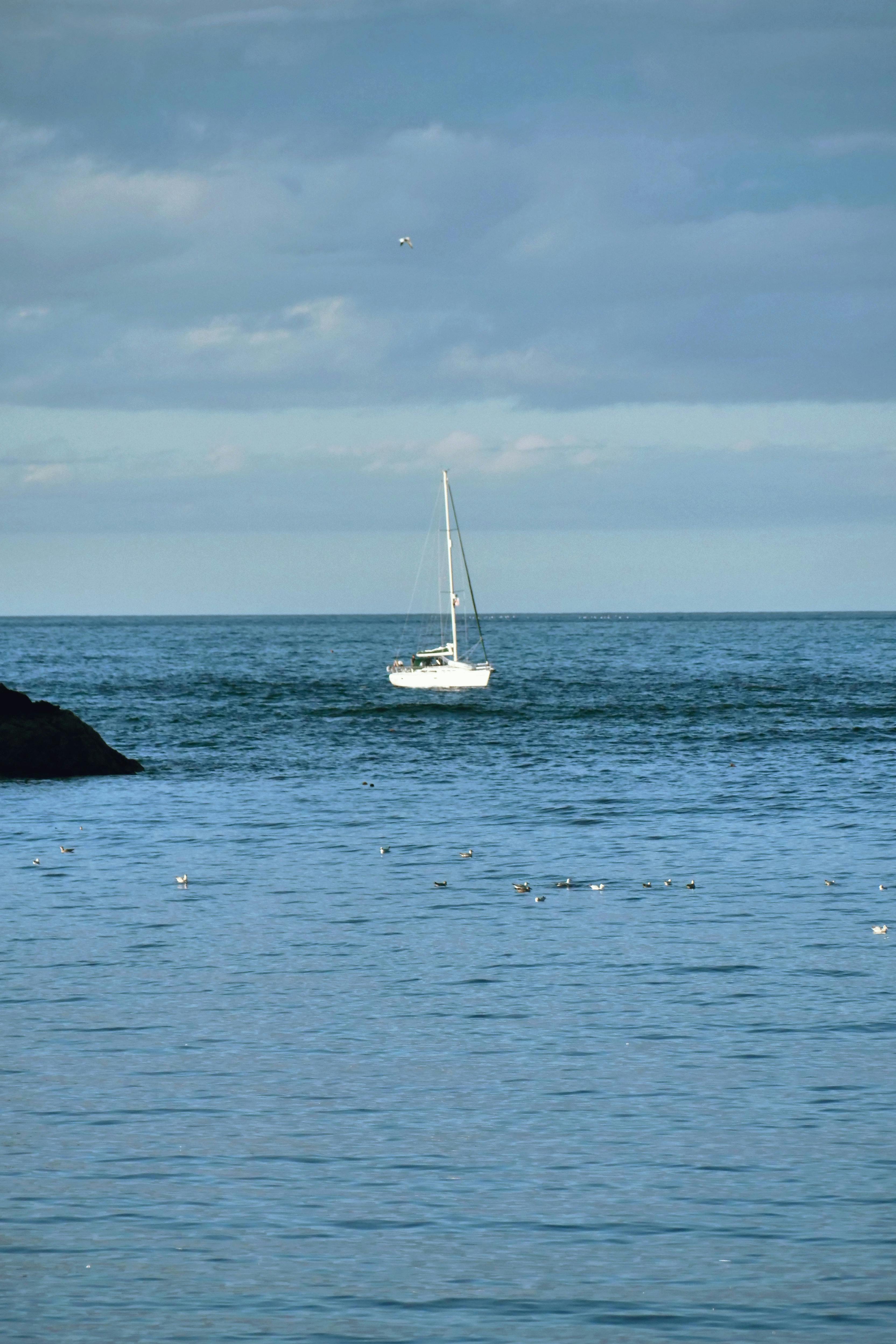 White Sailboat on Sea · Free Stock Photo