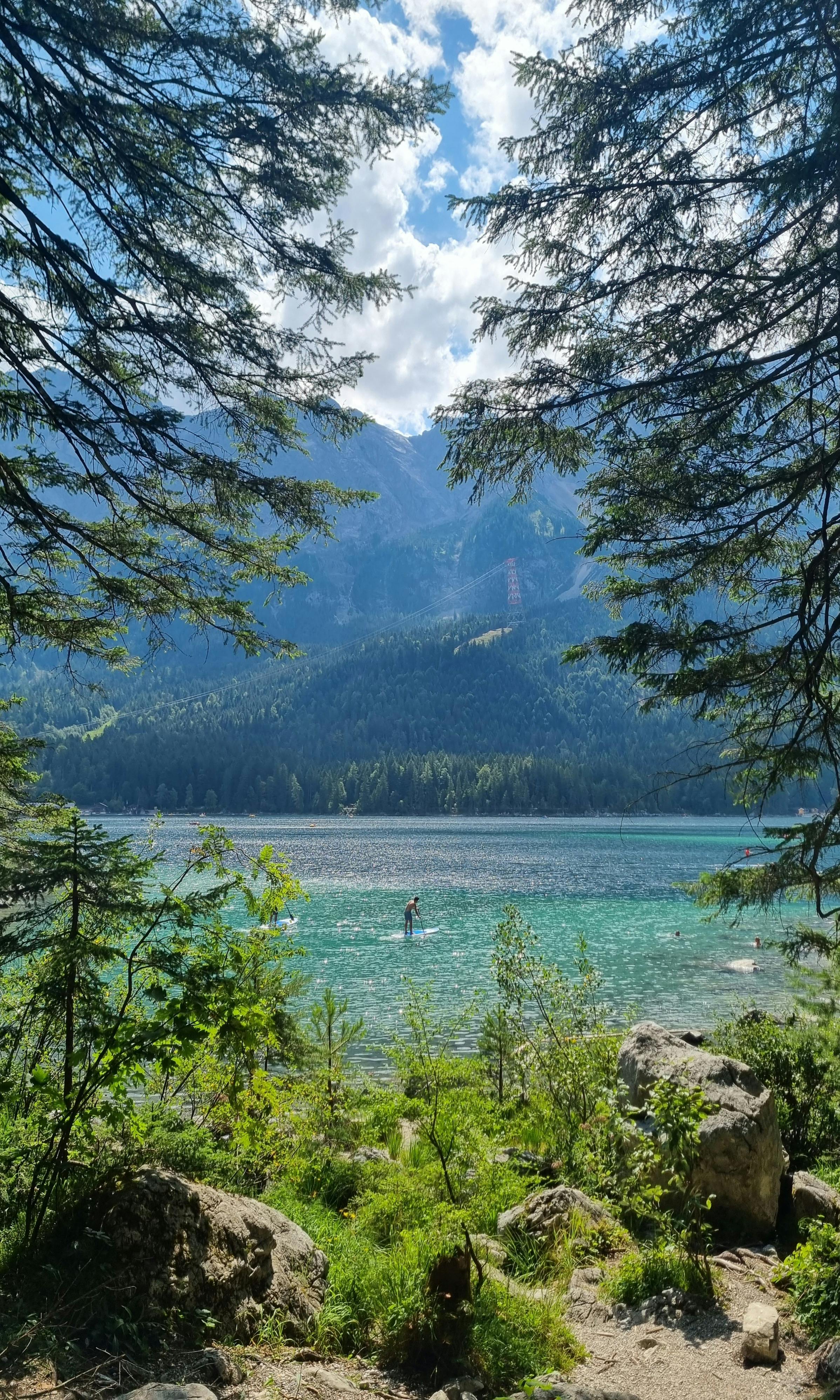 Lake behind Trees · Free Stock Photo