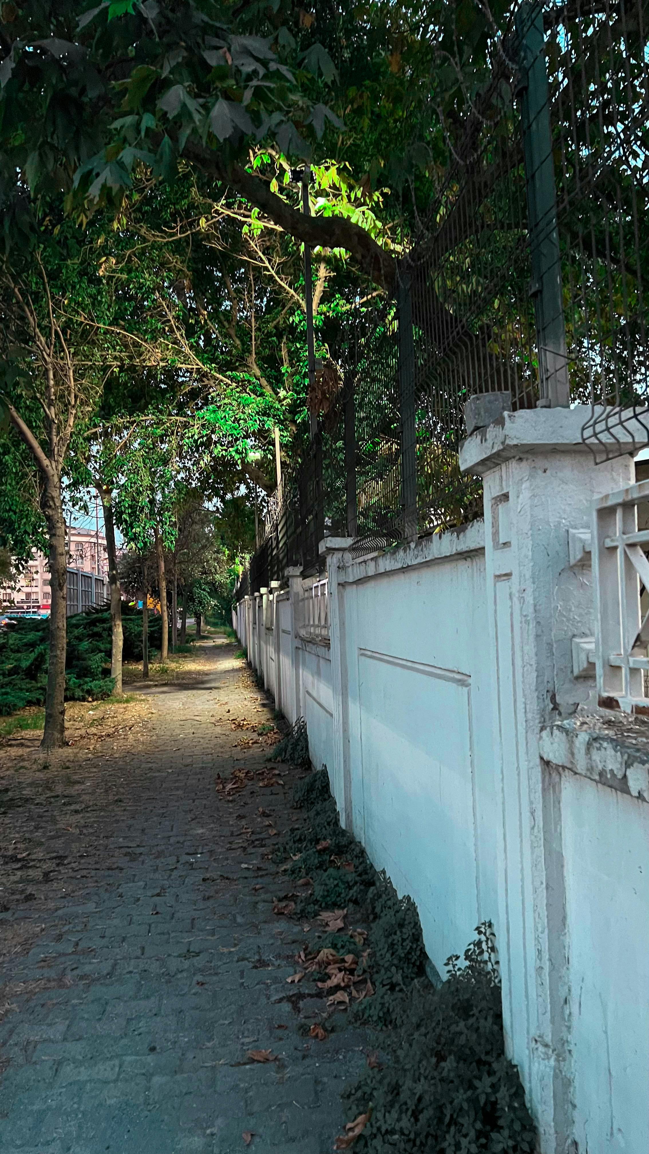 Meryem Meva - Photography