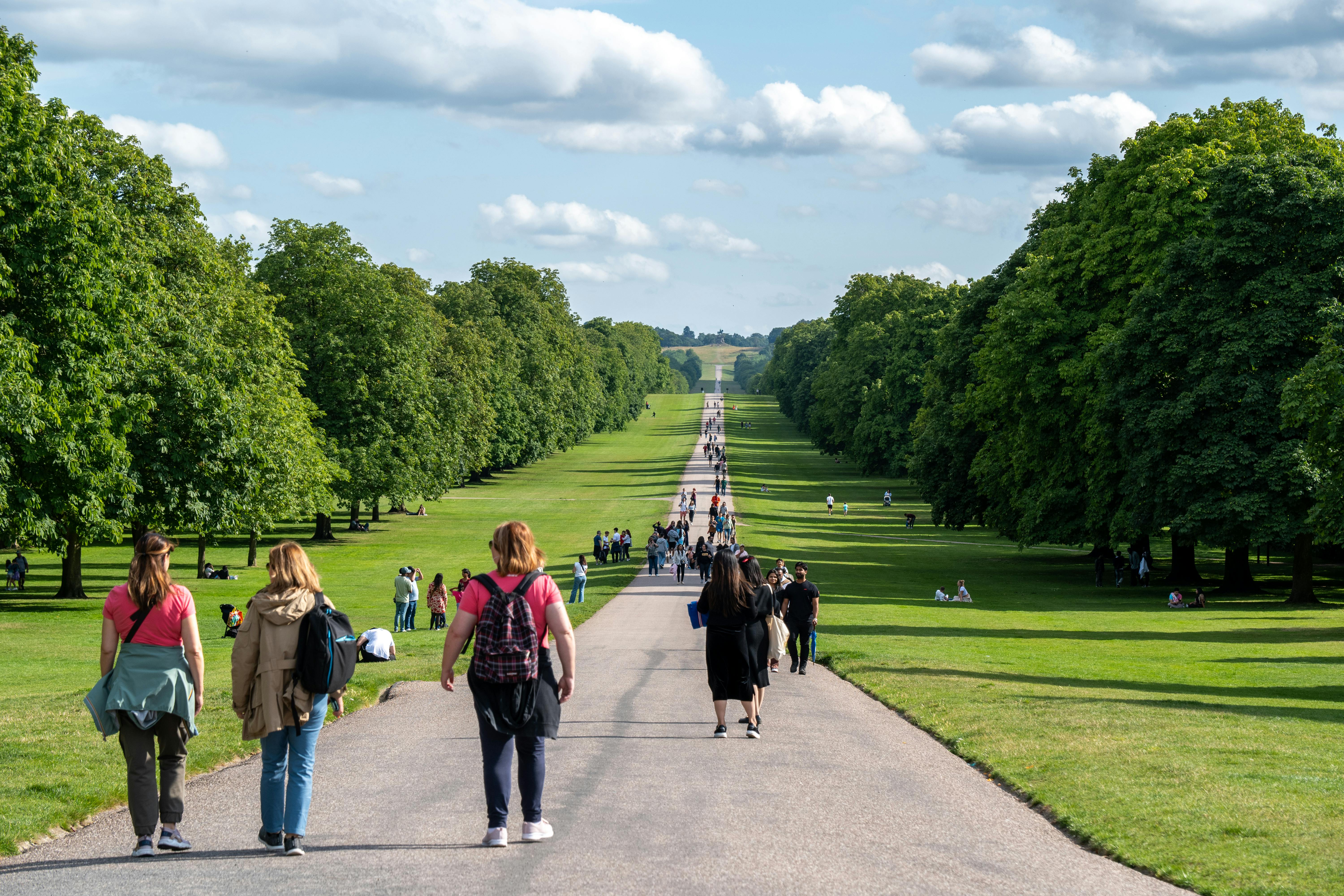 Tourists Walking Along the Road Through Windsor Great Park · Free Stock ...