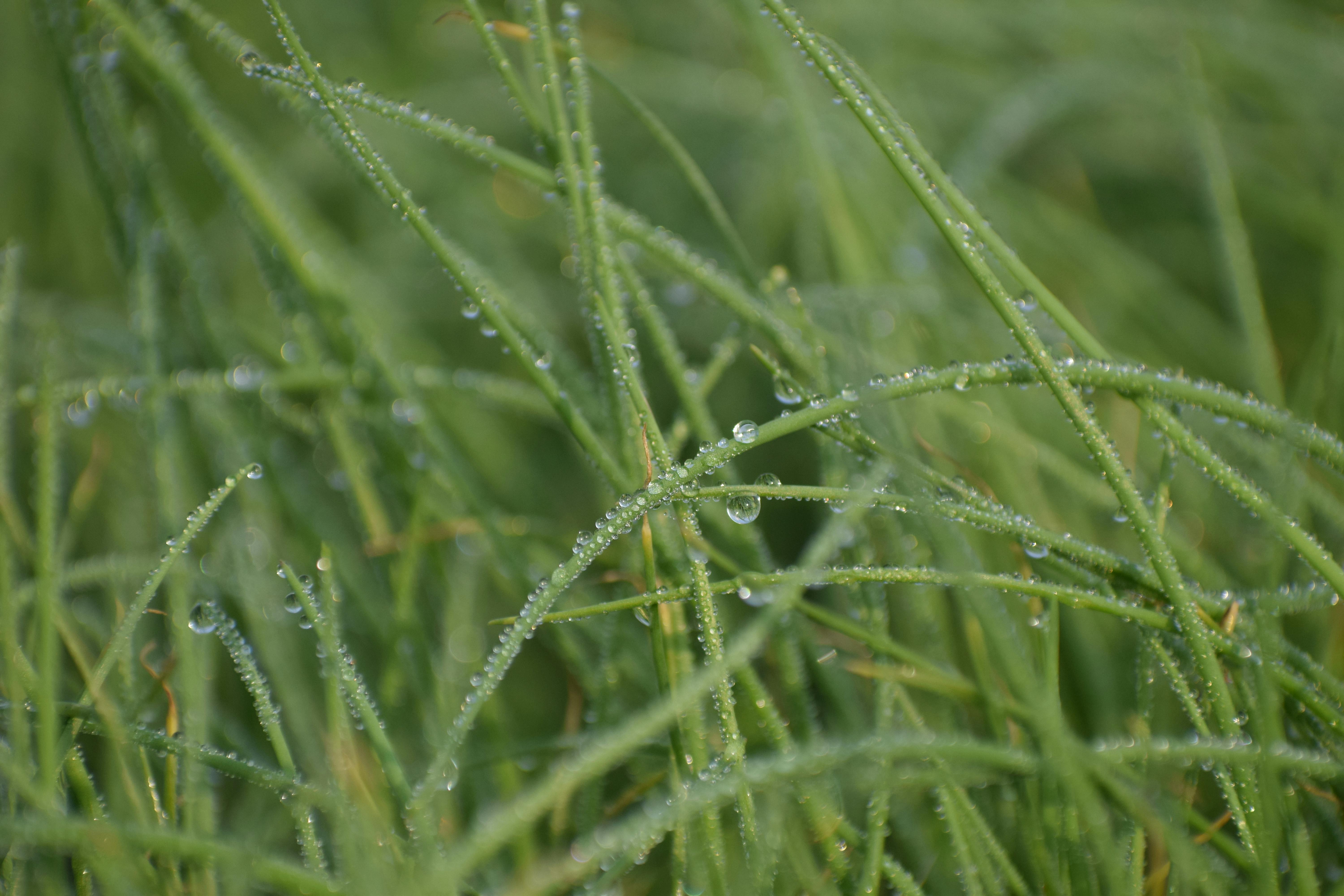 TANMAY GHOSH - 攝影