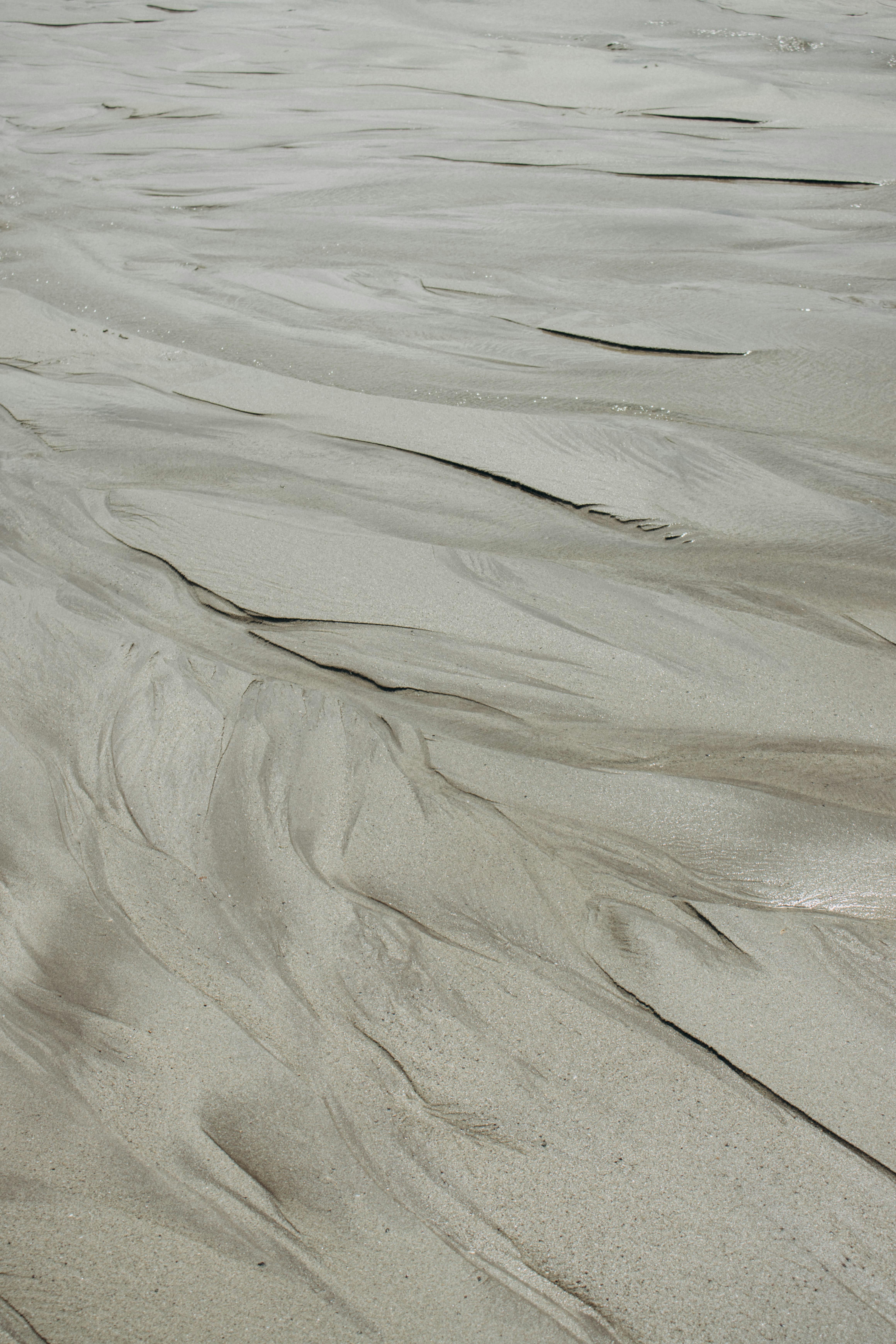 Close-up of Sand on the Beach · Free Stock Photo