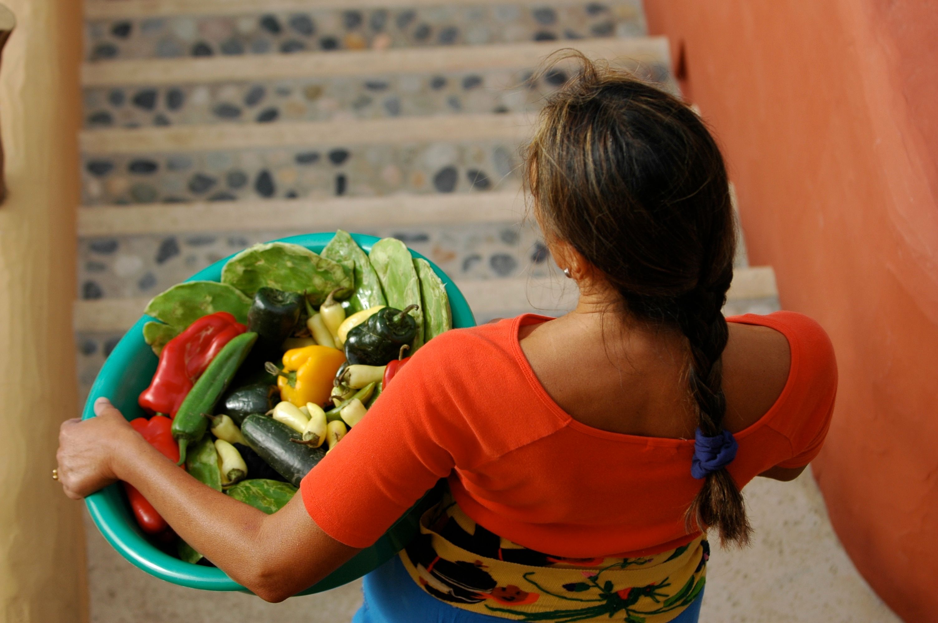 Disaster Food Jakarta Photos, Download The BEST Free Disaster Food ...