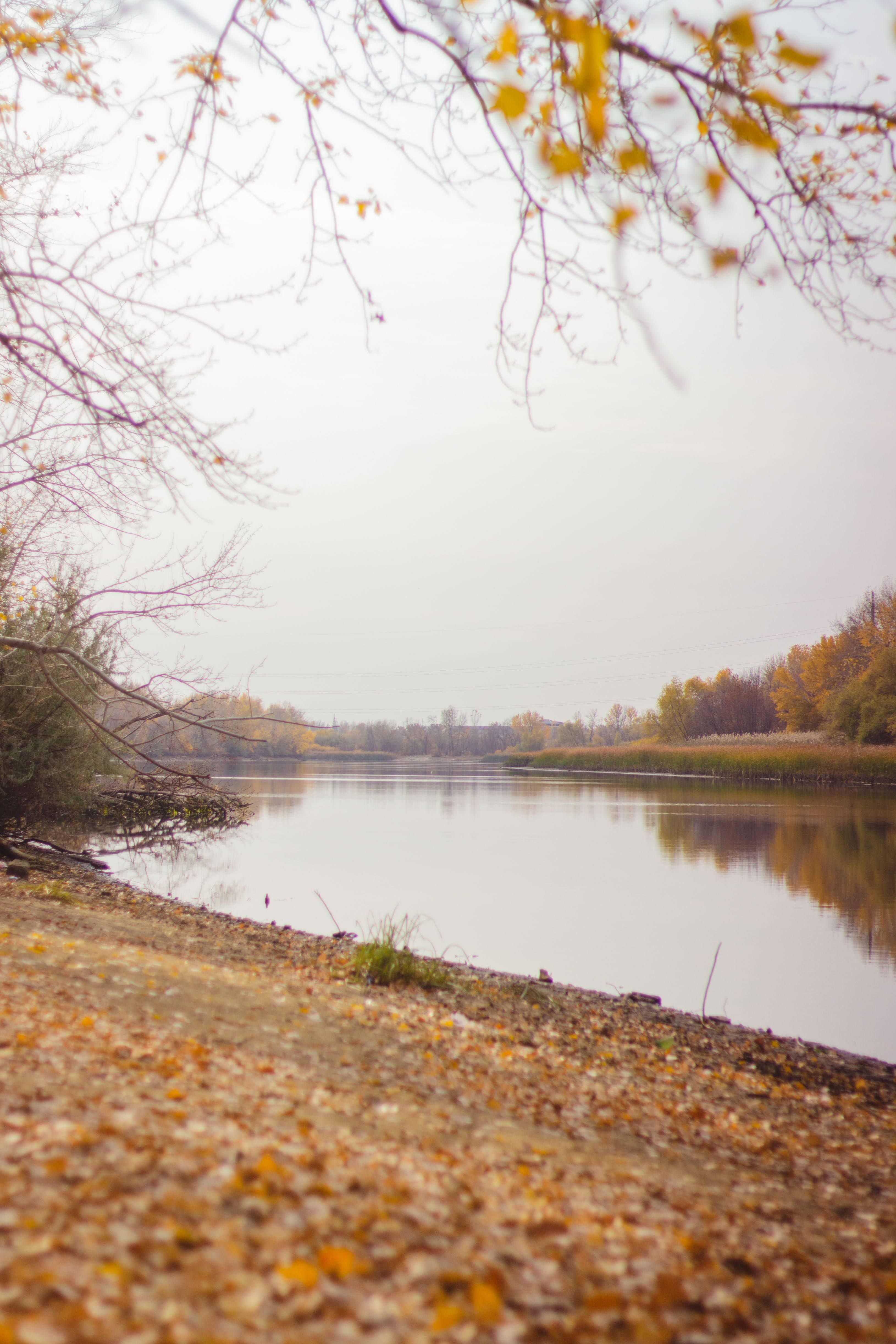 Autumnal Equinox Photos, Download The BEST Free Autumnal Equinox Stock ...