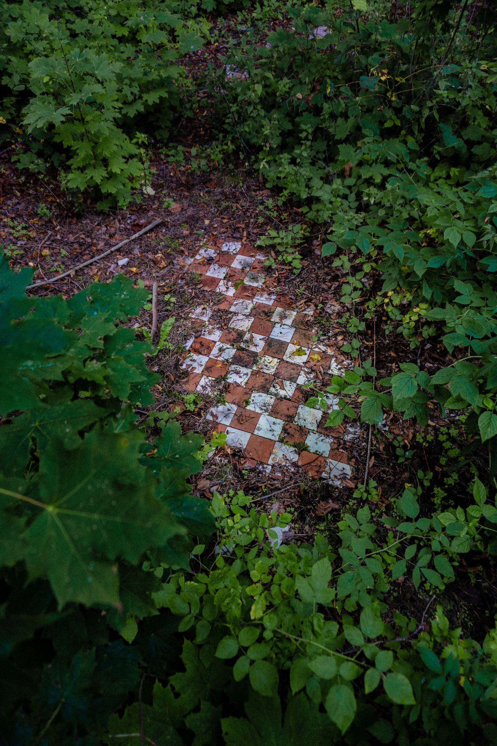 Ground Tiles Photos, Download The BEST Free Ground Tiles Stock Photos ...