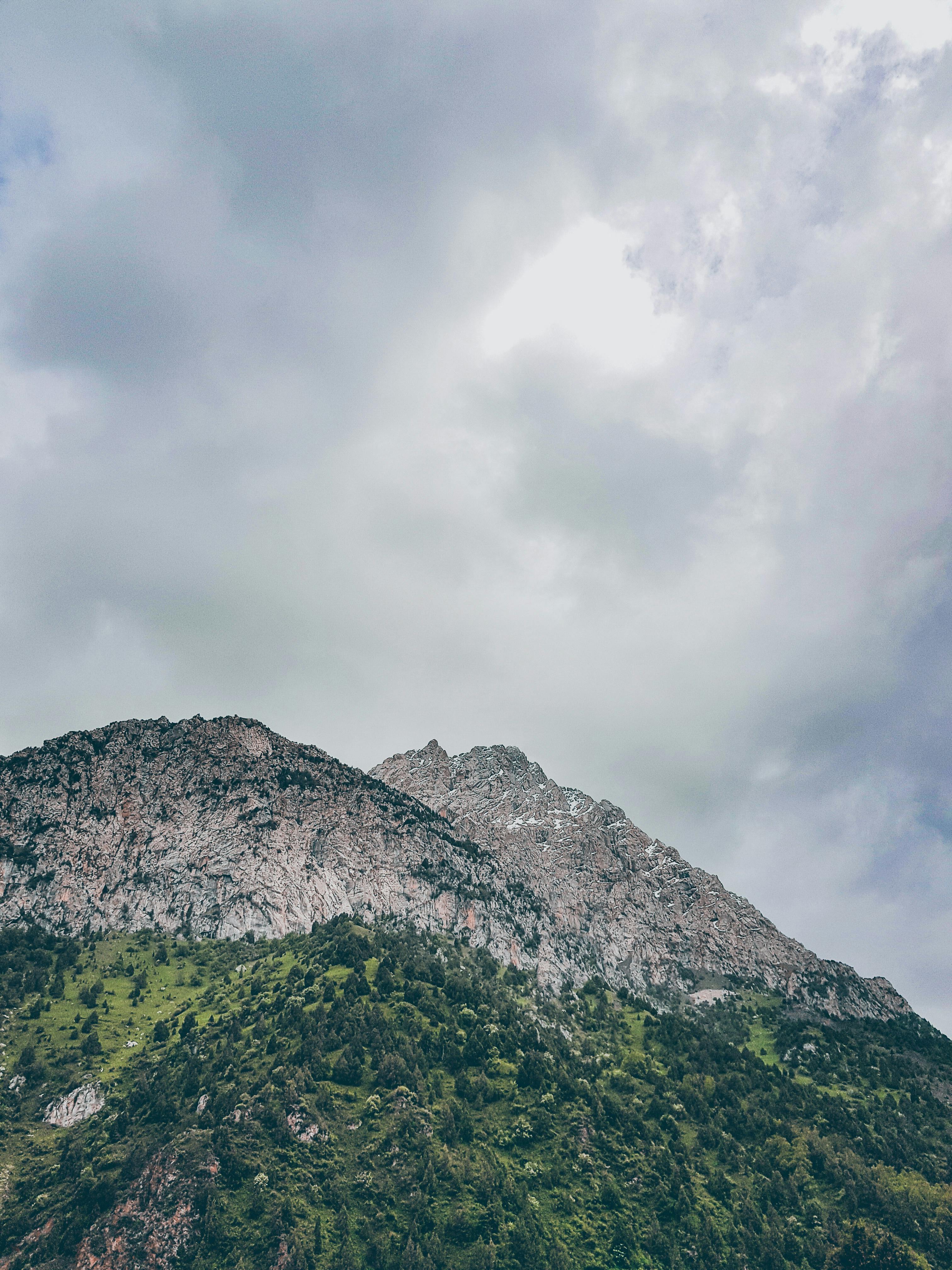 High Resolution Muscle Photos, Download The BEST Free High Resolution ...