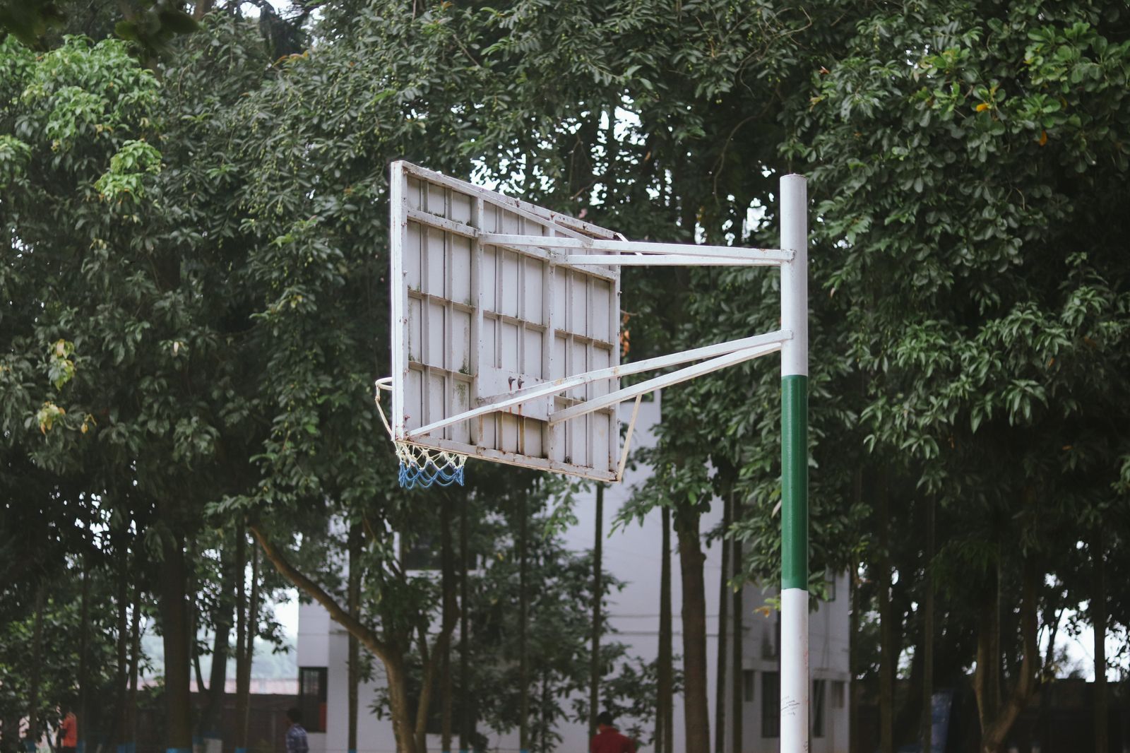 Basketball Goal Photos, Download The BEST Free Basketball Goal Stock ...