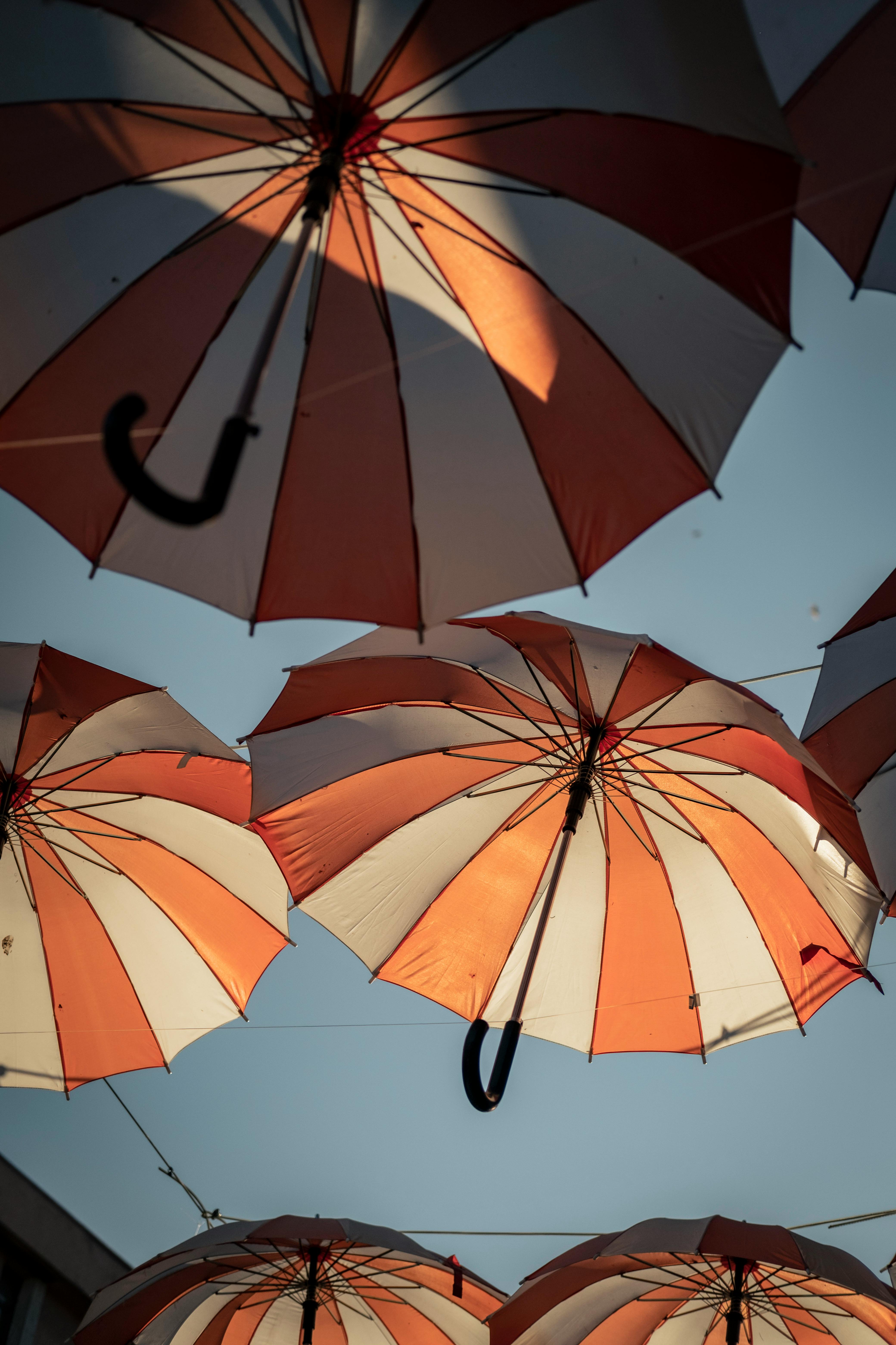 Low Angle Shot of Hanging Umbrellas · Free Stock Photo