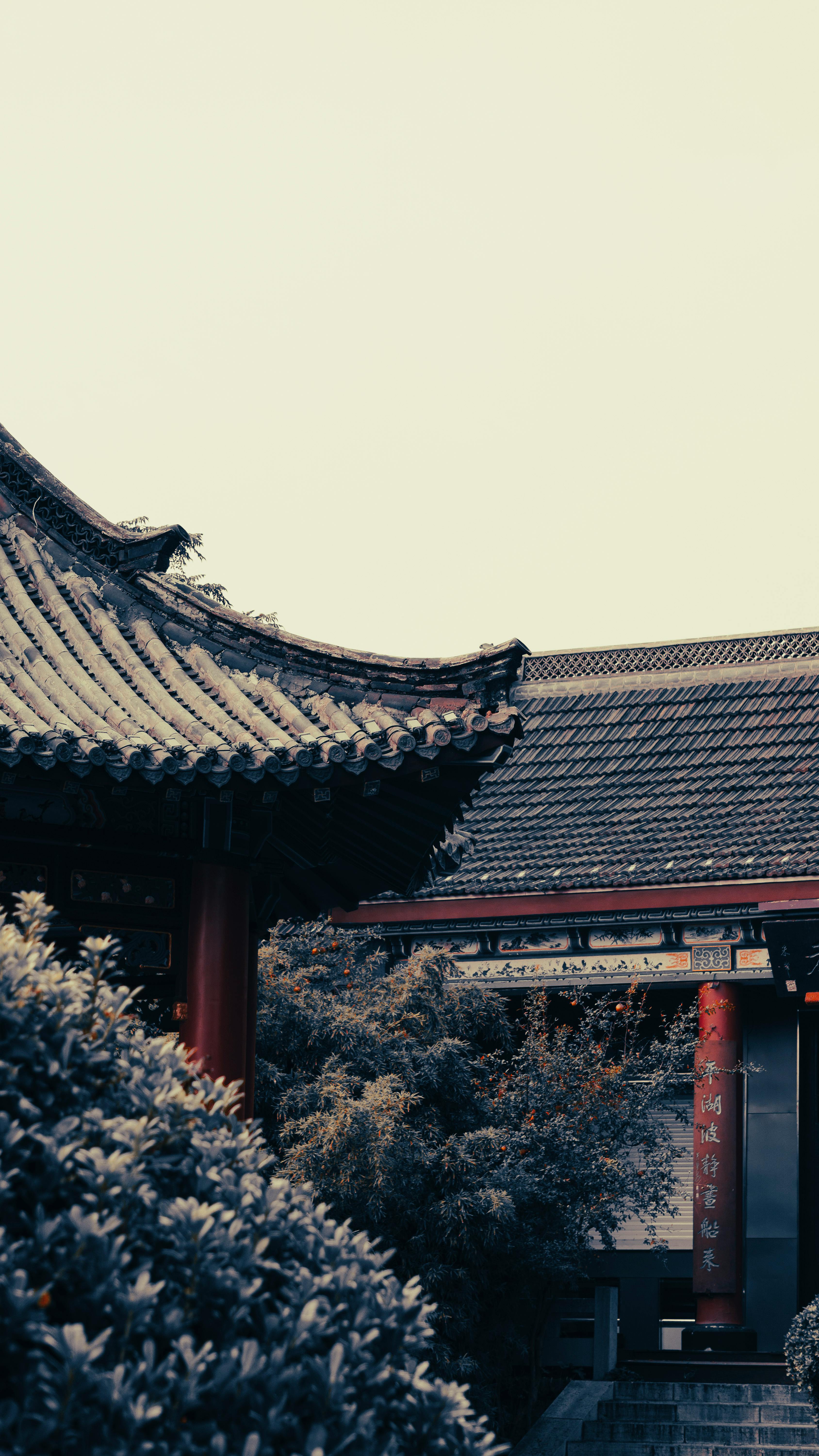 Corner of a Pagoda Roof · Free Stock Photo