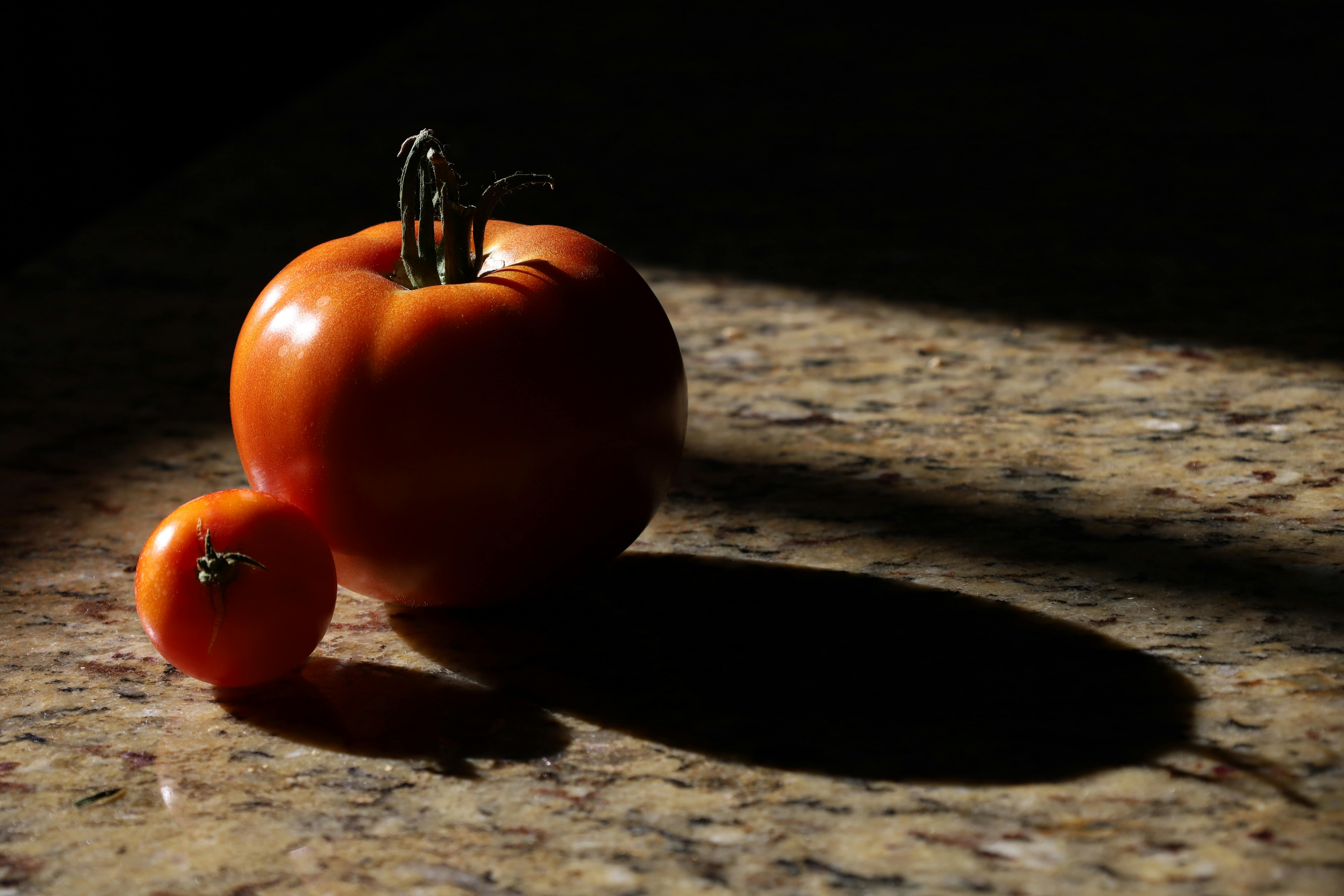 Nigel Cohen - 사진