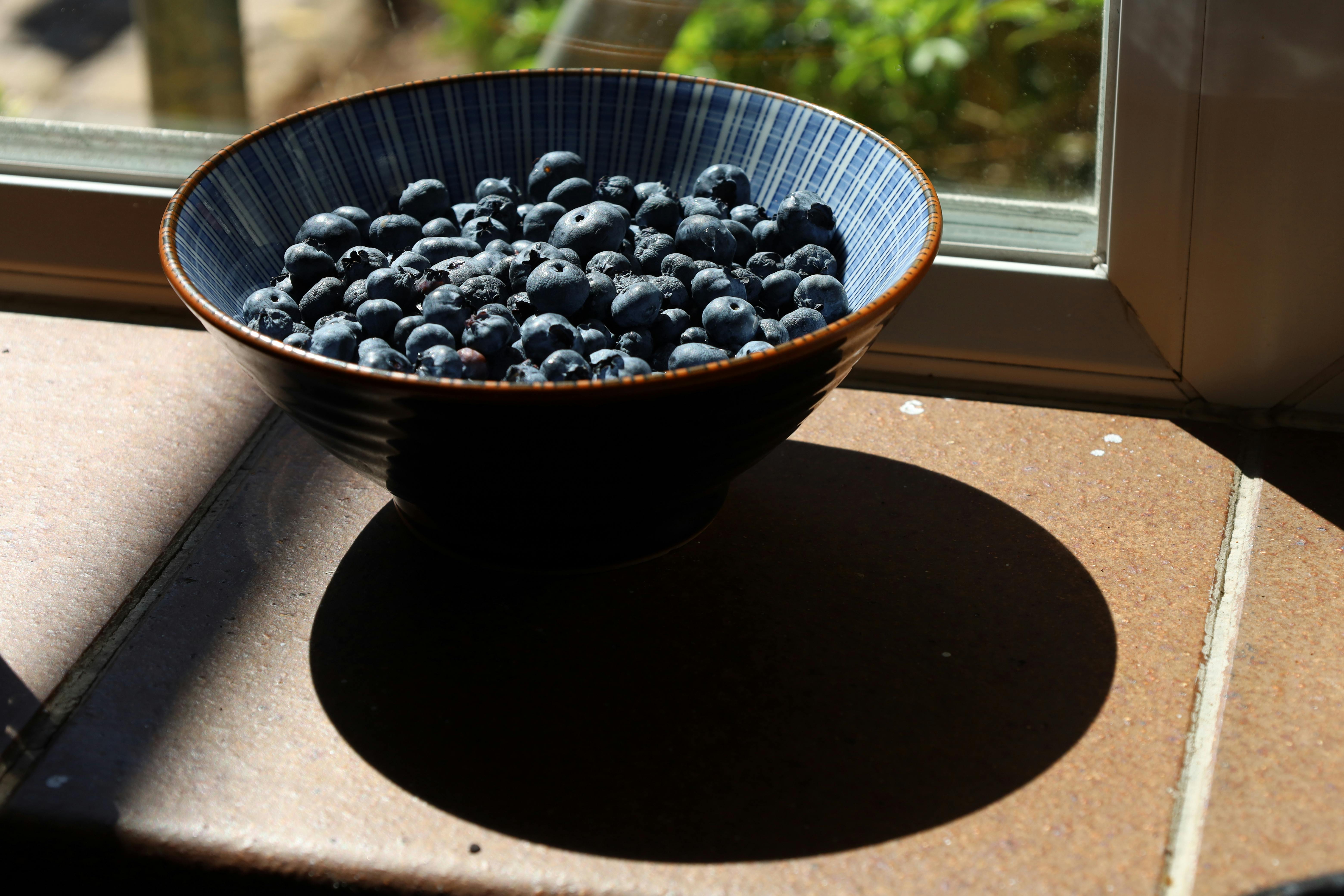 Nigel Cohen - 사진