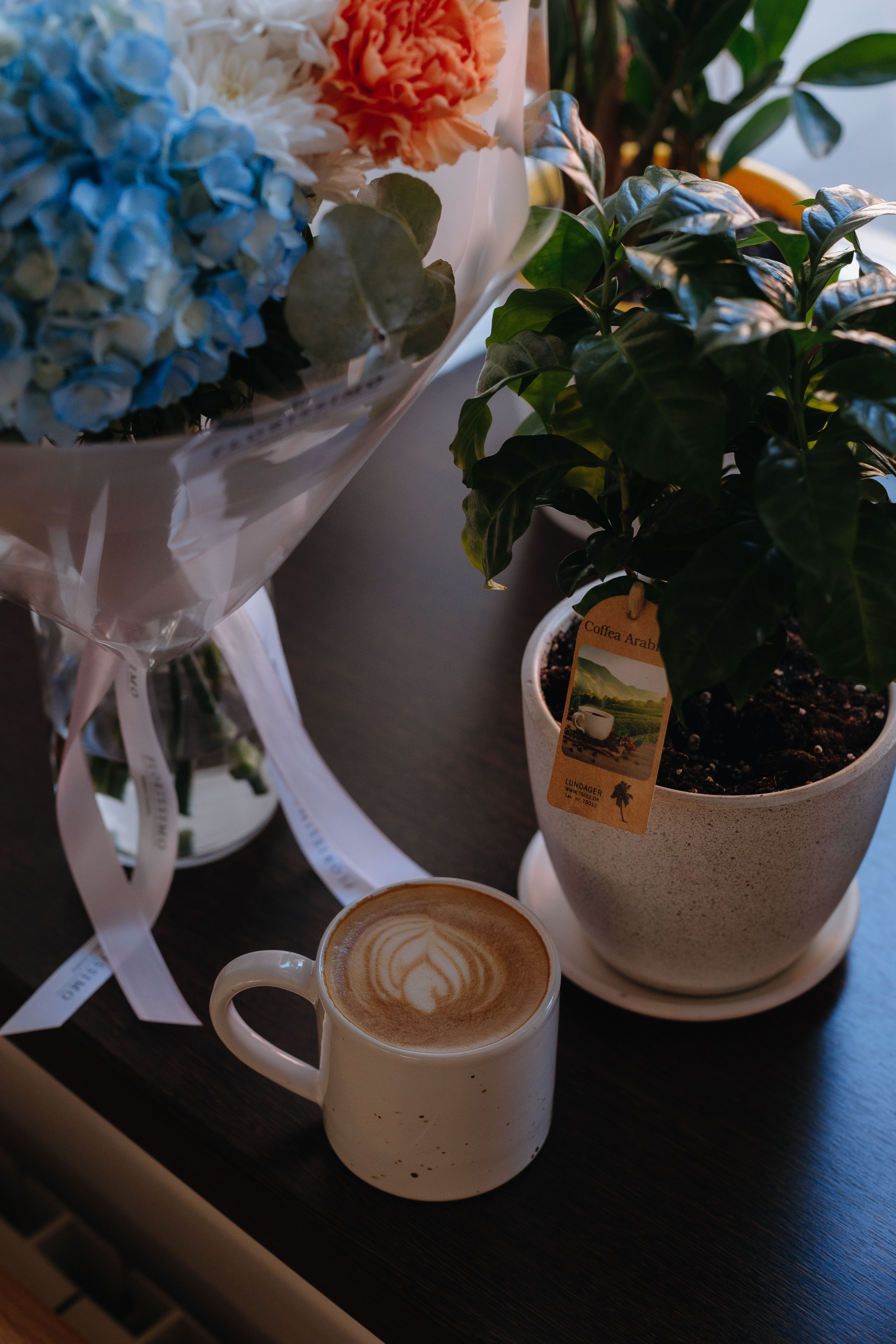Flower Pots Coffee Photos, Download The BEST Free Flower Pots Coffee ...