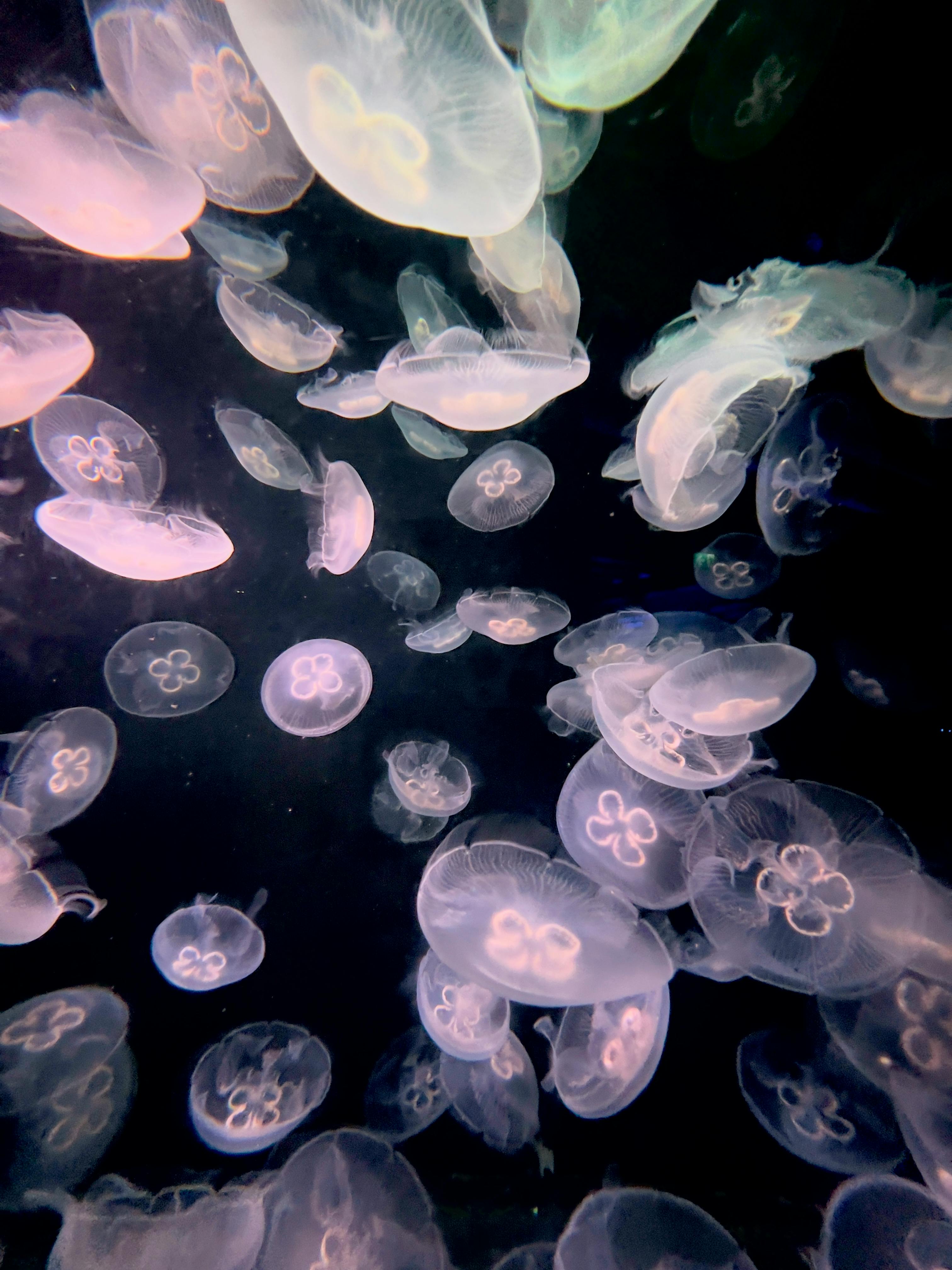 School Club Photos, Download The BEST Free School Club Stock Photos ...