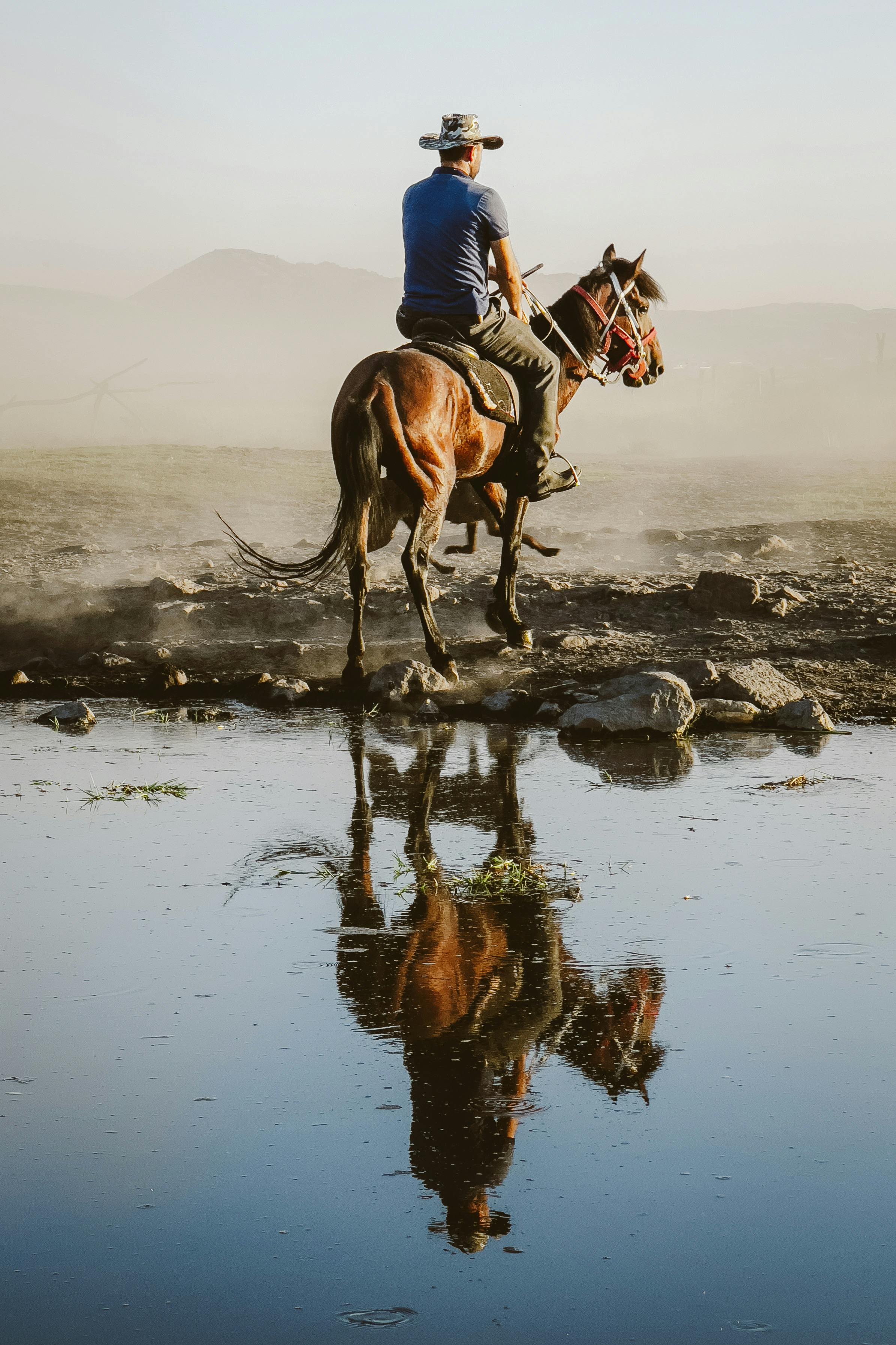 Cowboys with Horses Herd · Free Stock Photo