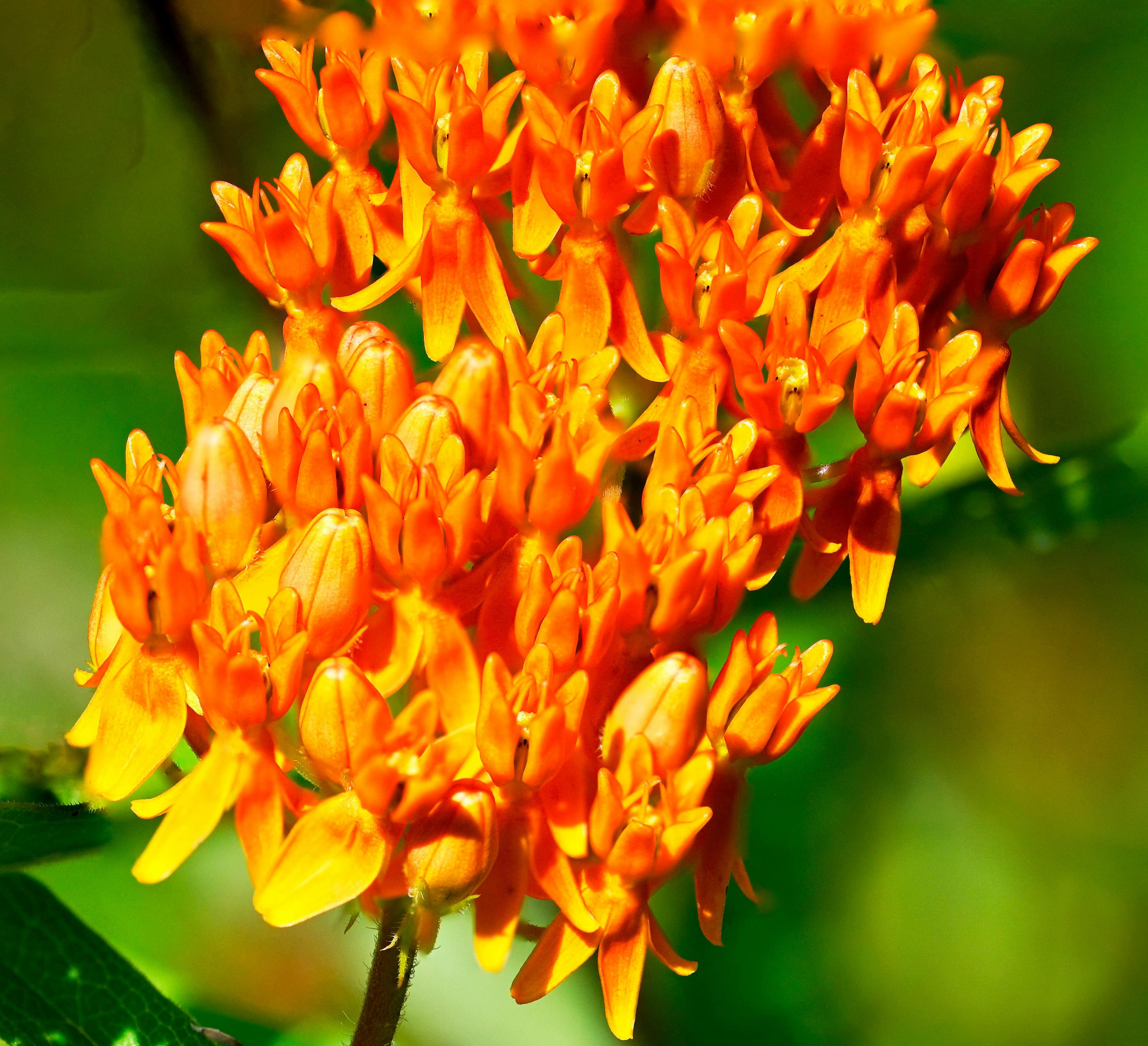 THOMAS PORTER - Fotografía