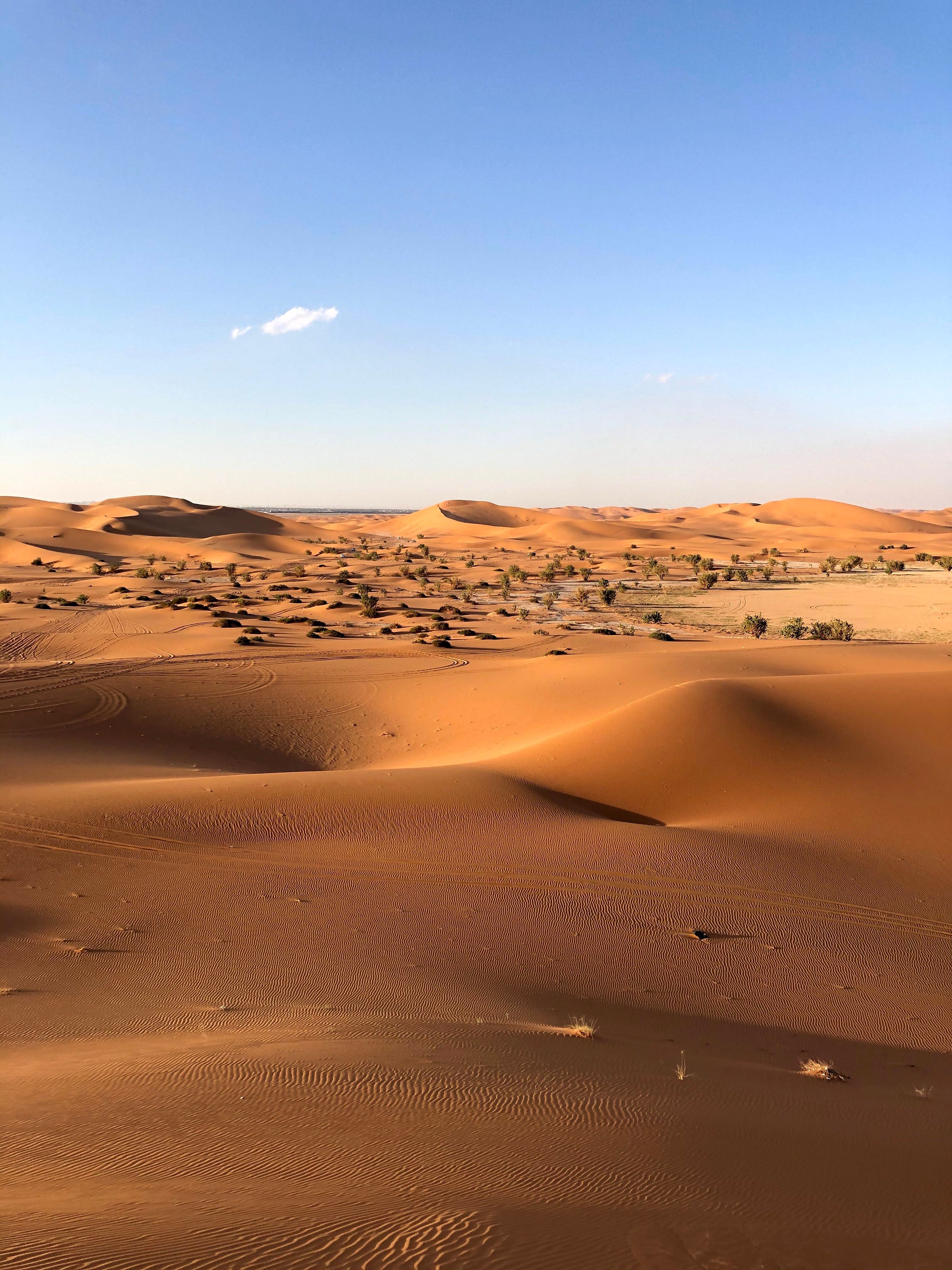 Desert Landscape with Undulated Sand Dunes · Free Stock Photo
