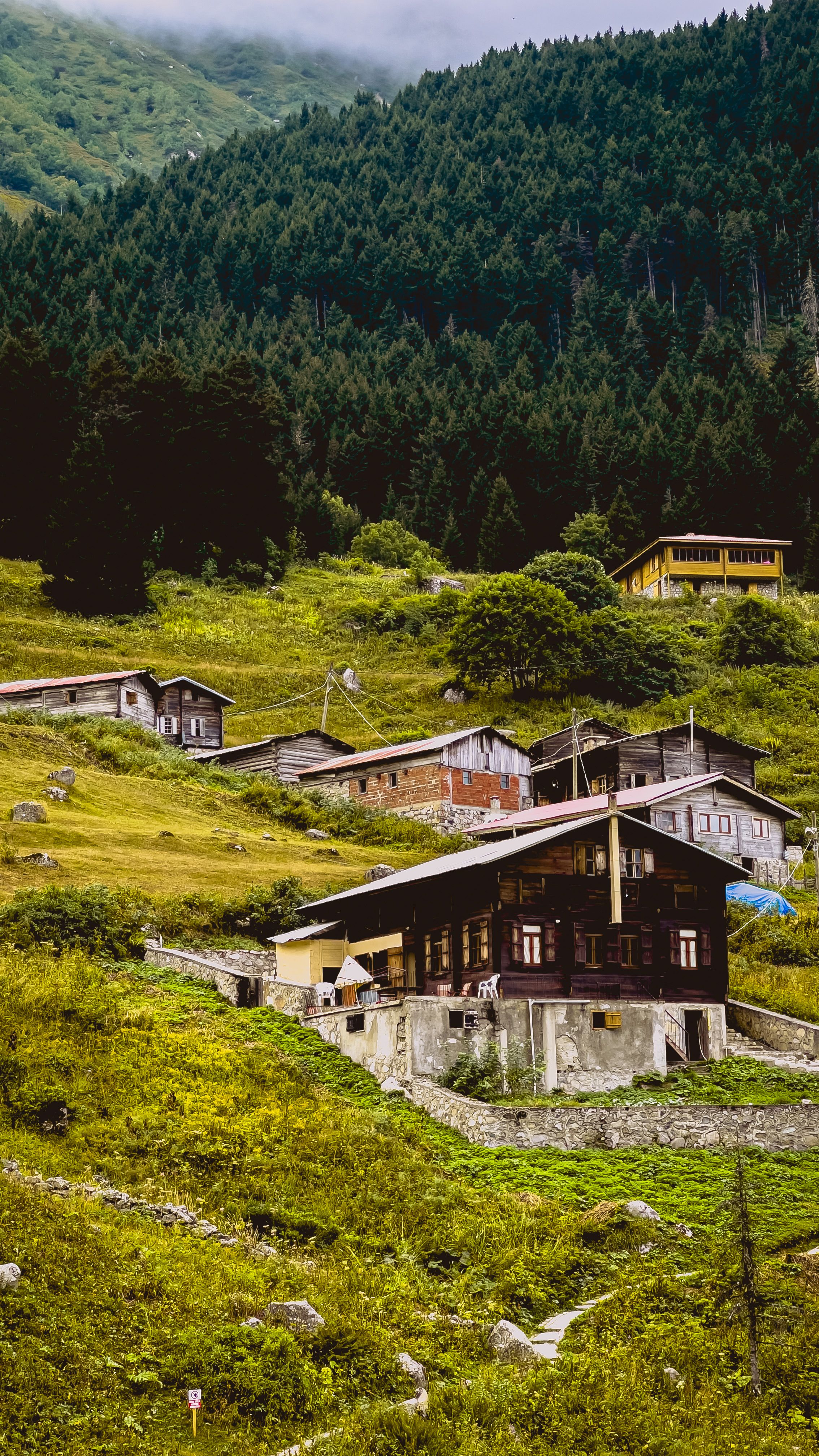 Cottages on Steep Grassy Slope in Mountains · Free Stock Photo