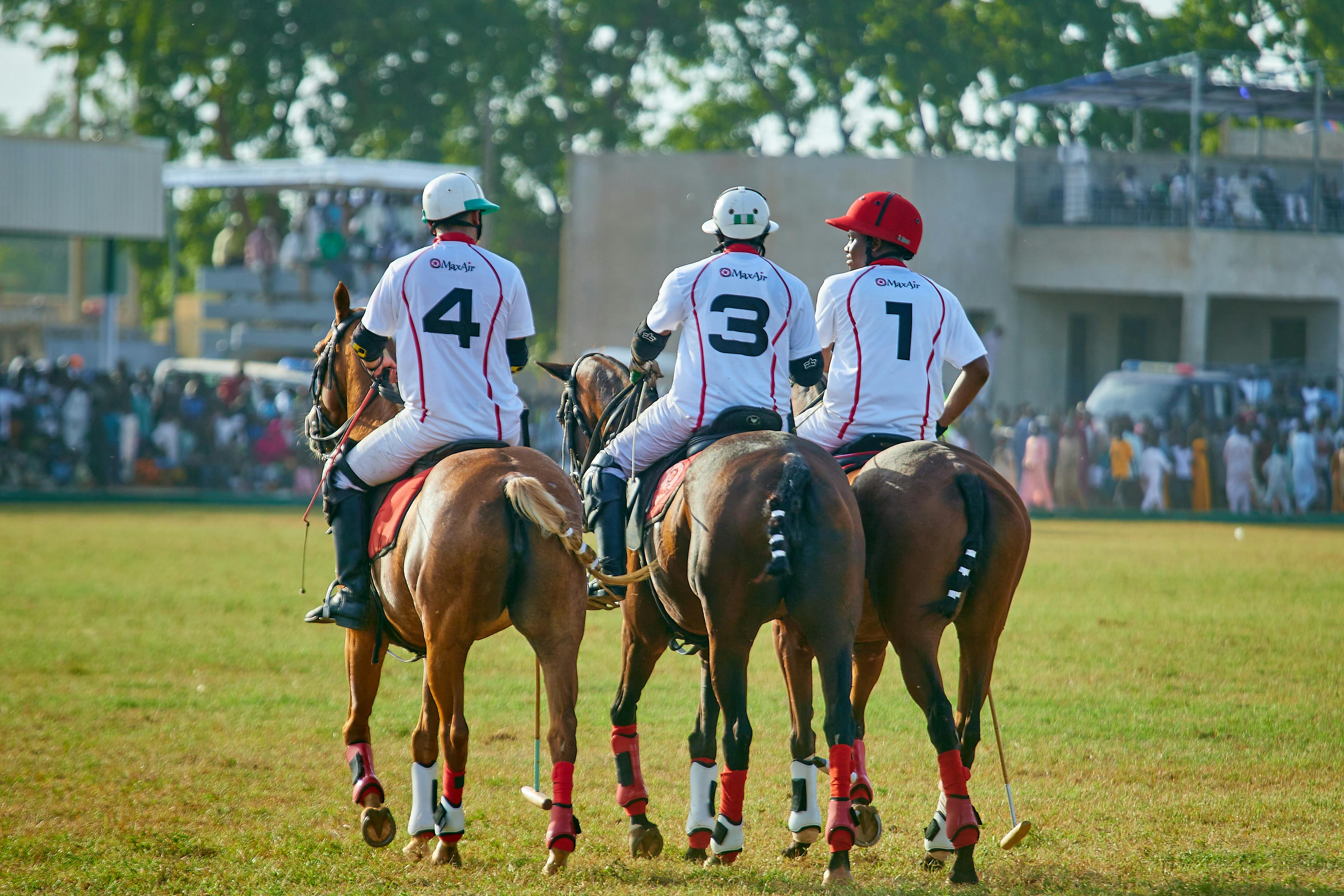 Back View of People Playing Polo · Free Stock Photo