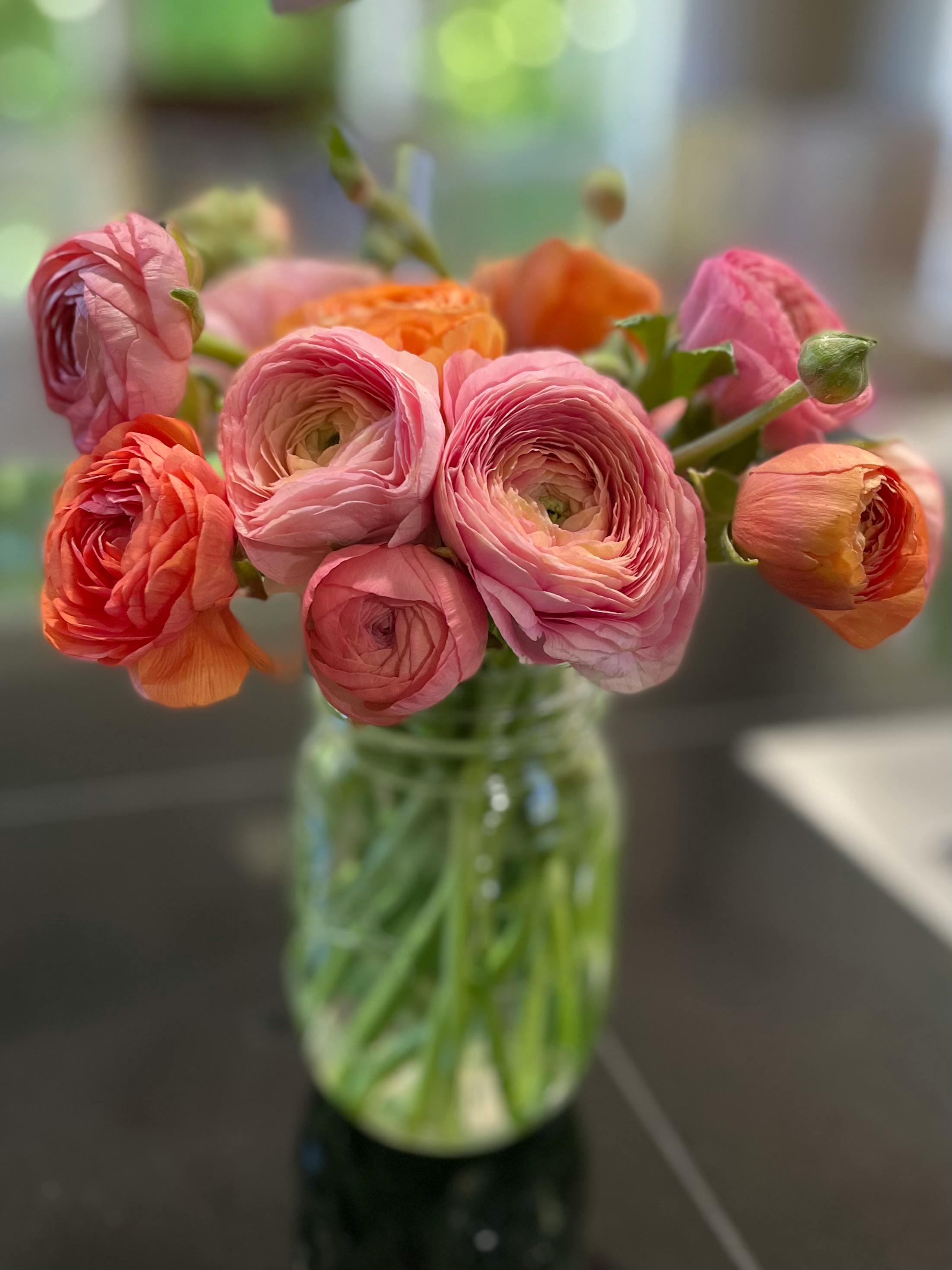 Christy Day - 攝影