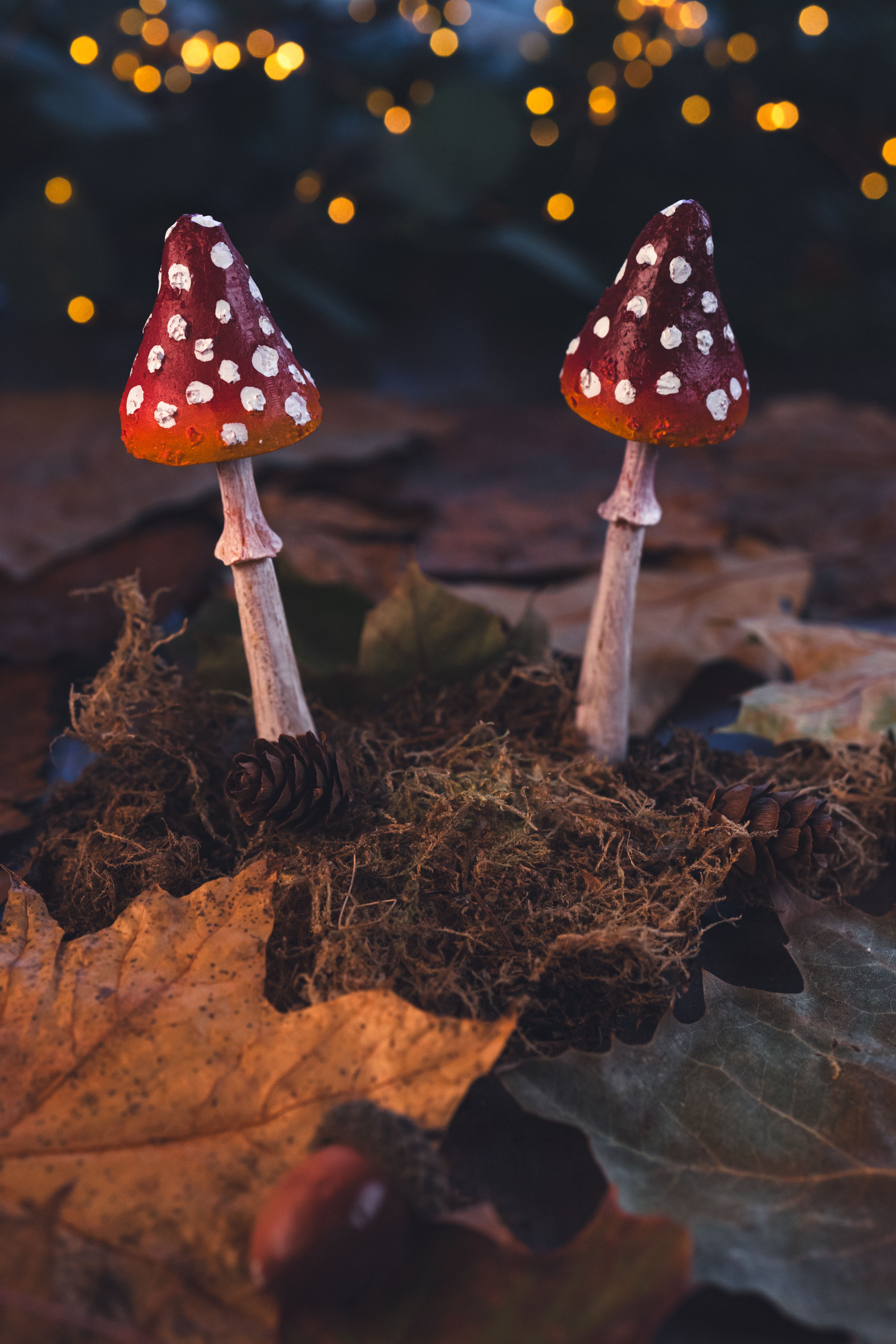 Neon Moss Photos, Download The BEST Free Neon Moss Stock Photos & HD Images