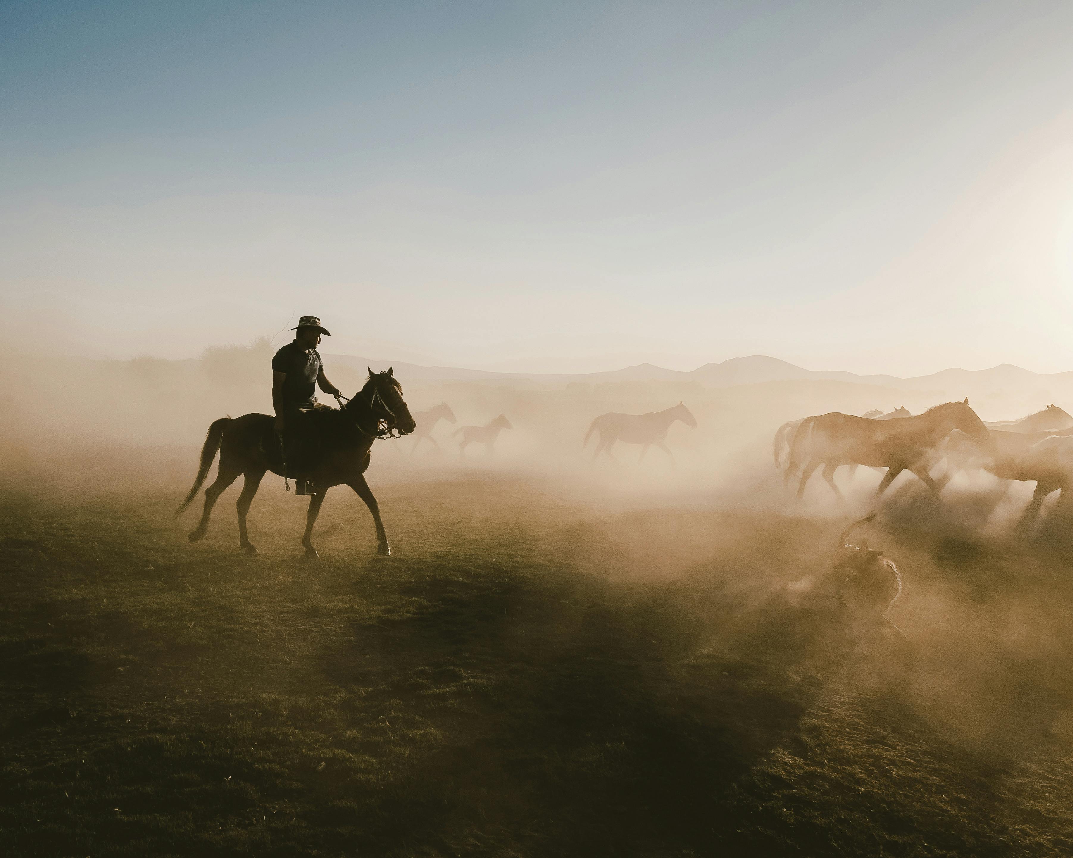 Silhouette of a Man Horseback Riding on a Field · Free Stock Photo