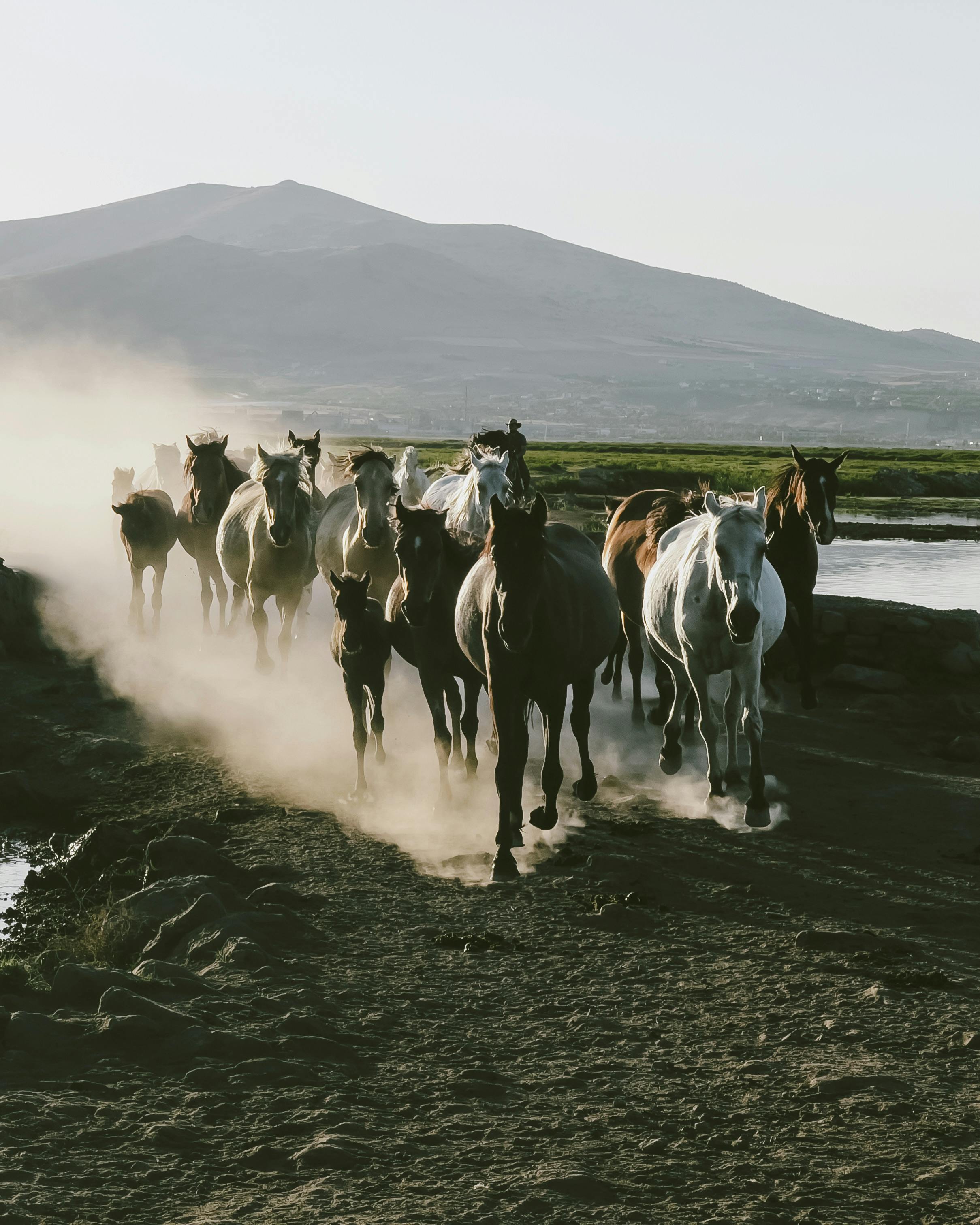 70,000+ 張最佳 Bluecard Wallpaper 相片 · 100% 免費下載 · Pexels 圖庫相片