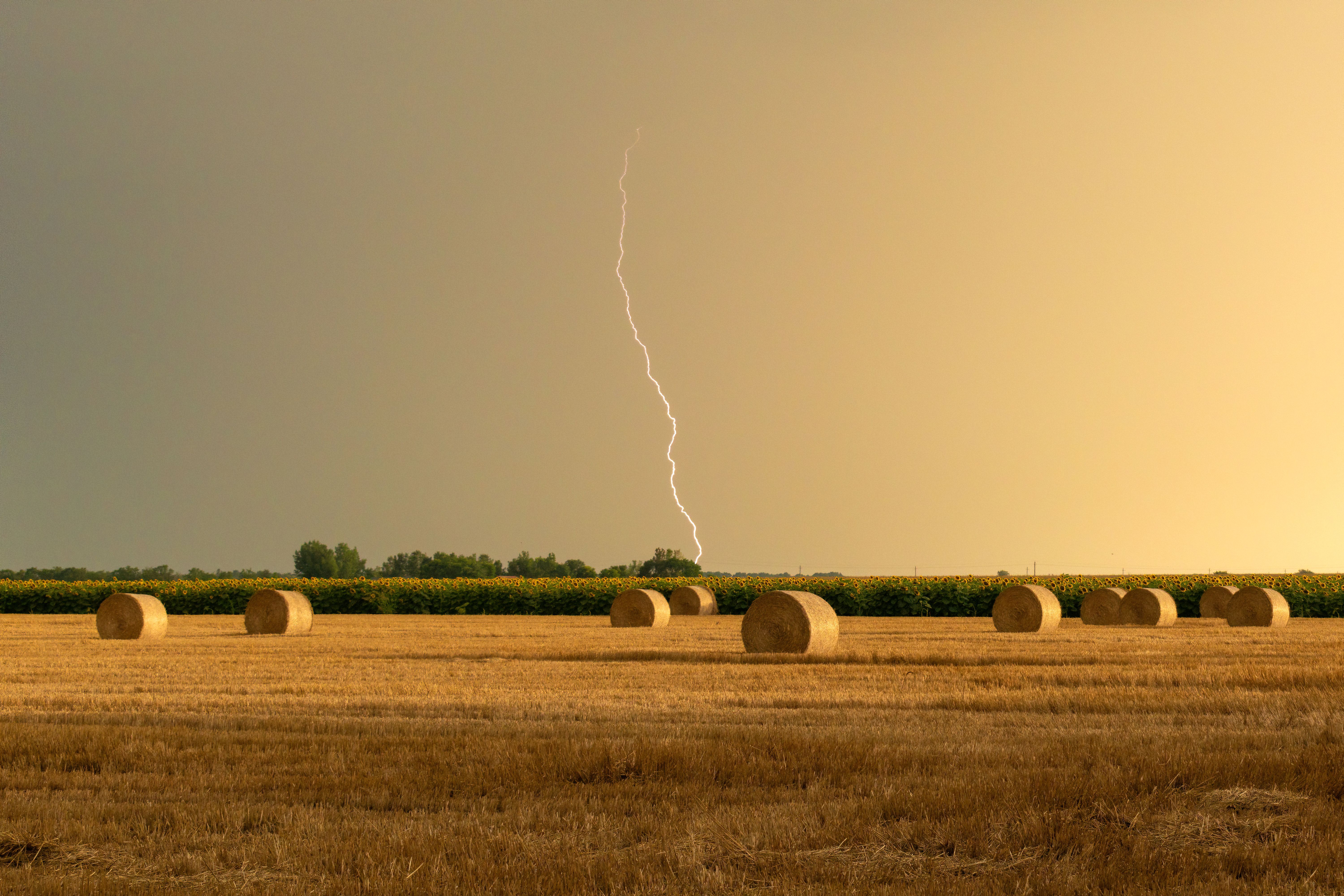 Hayfield During Sunset · Free Stock Photo