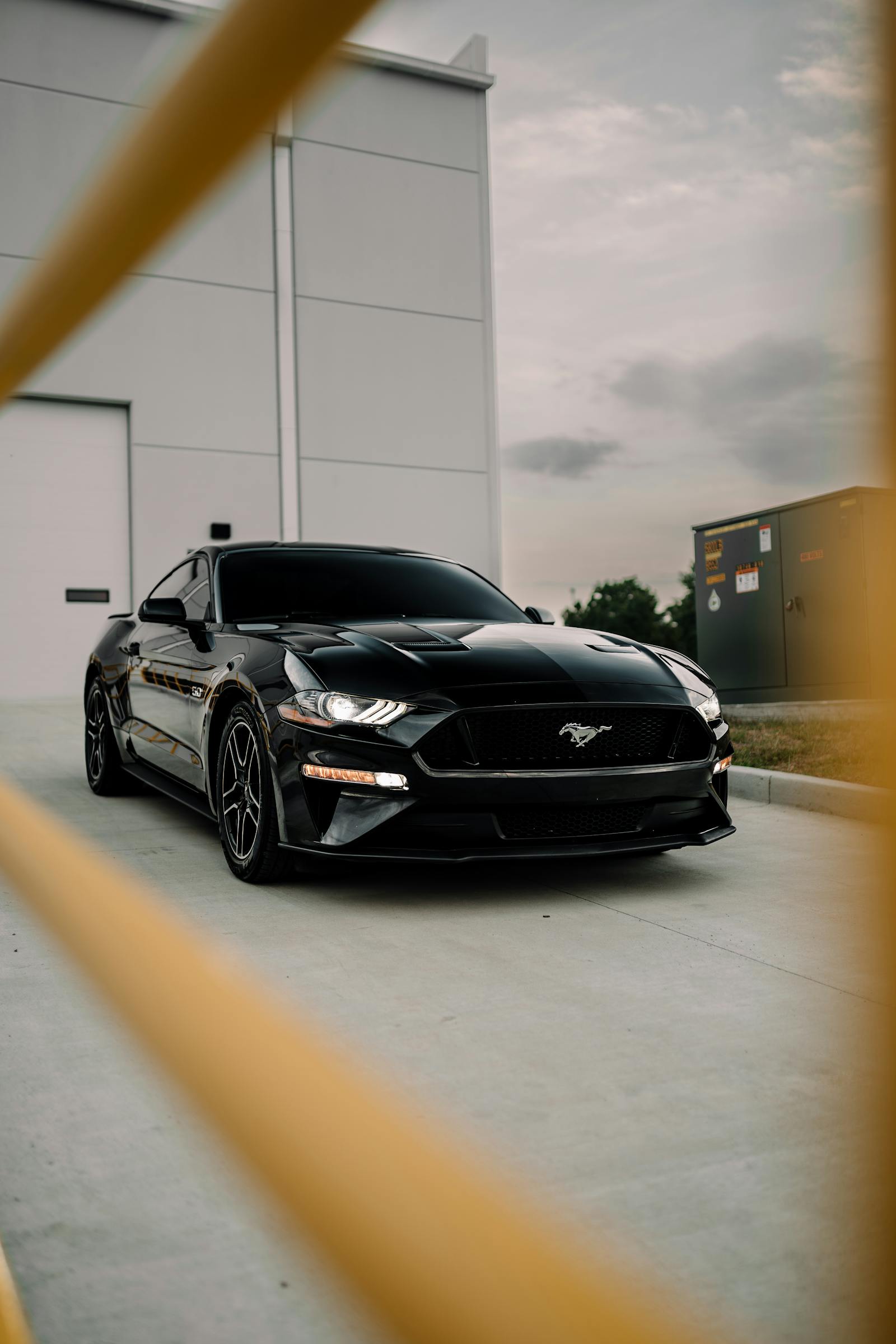 Black Mustang Photos, Download The BEST Free Black Mustang Stock Photos ...
