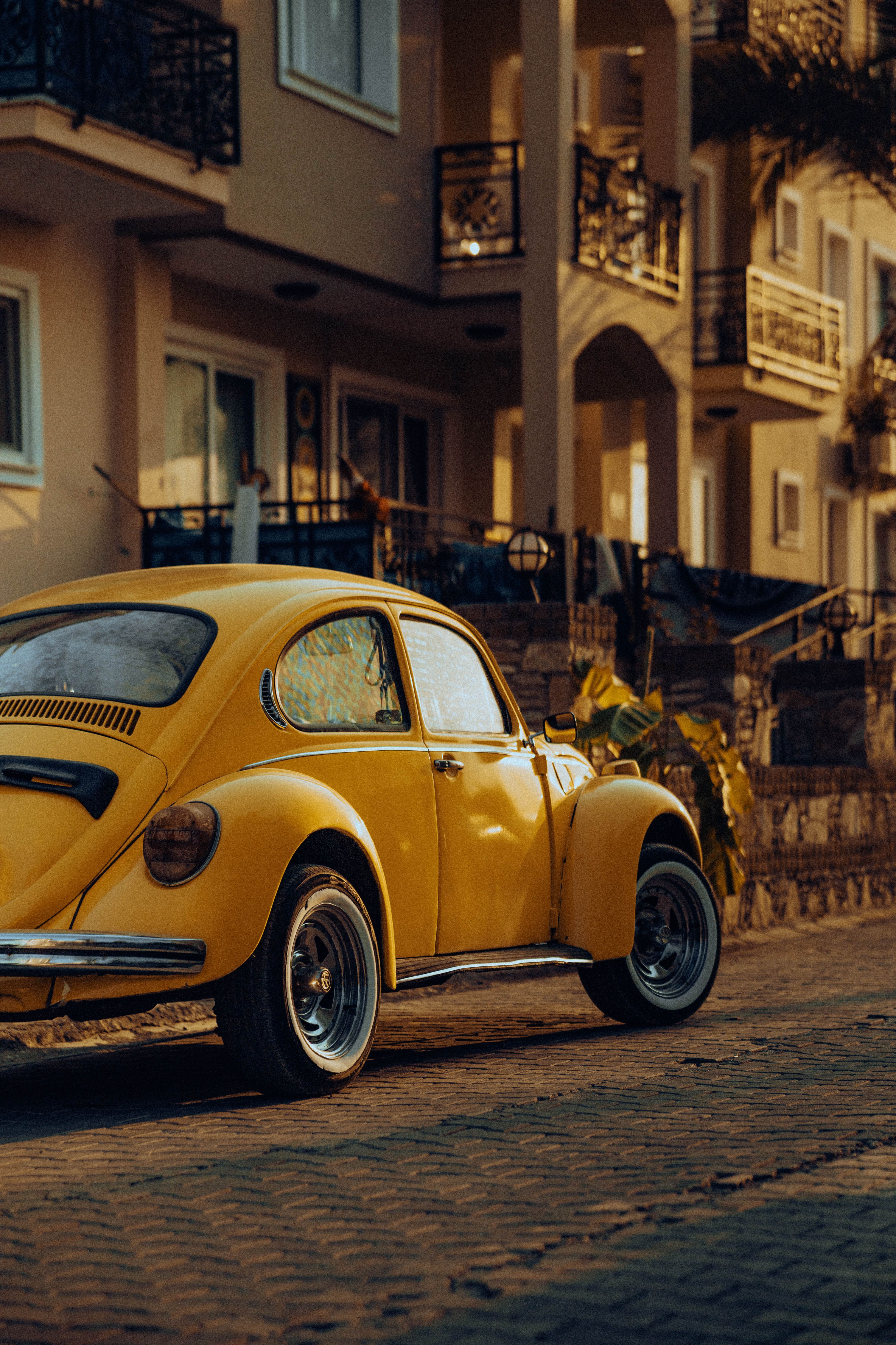 4.000+ melhores imagens de Beetle-brain · Download 100% grátis · Fotos ...