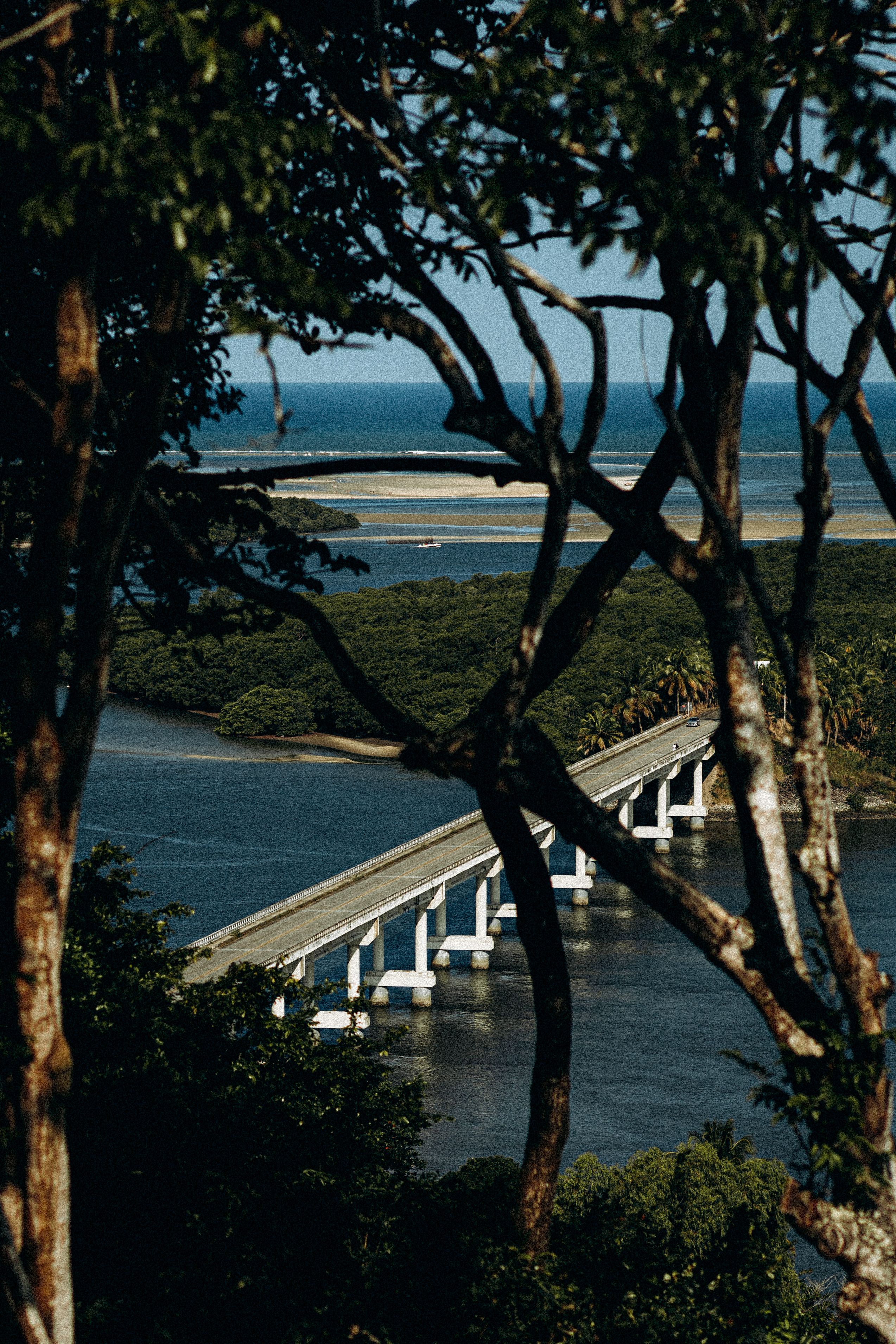 White Bridge Seen Through Trees · Free Stock Photo